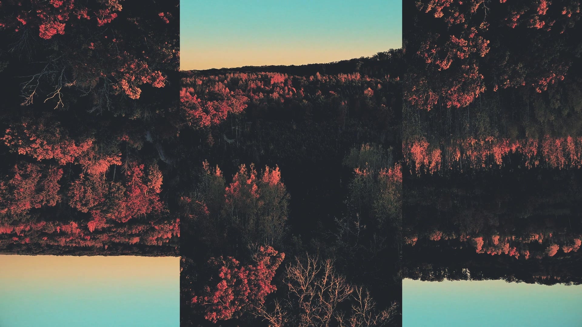 Foliage Remixed 15 | Still | – Shift Worship