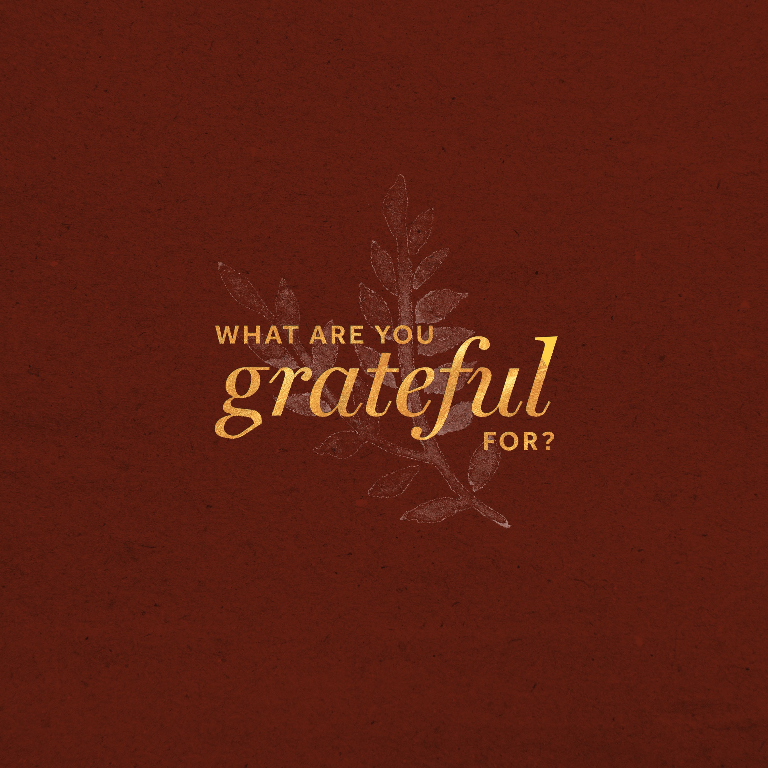 Grateful for You Still | Shift Worship