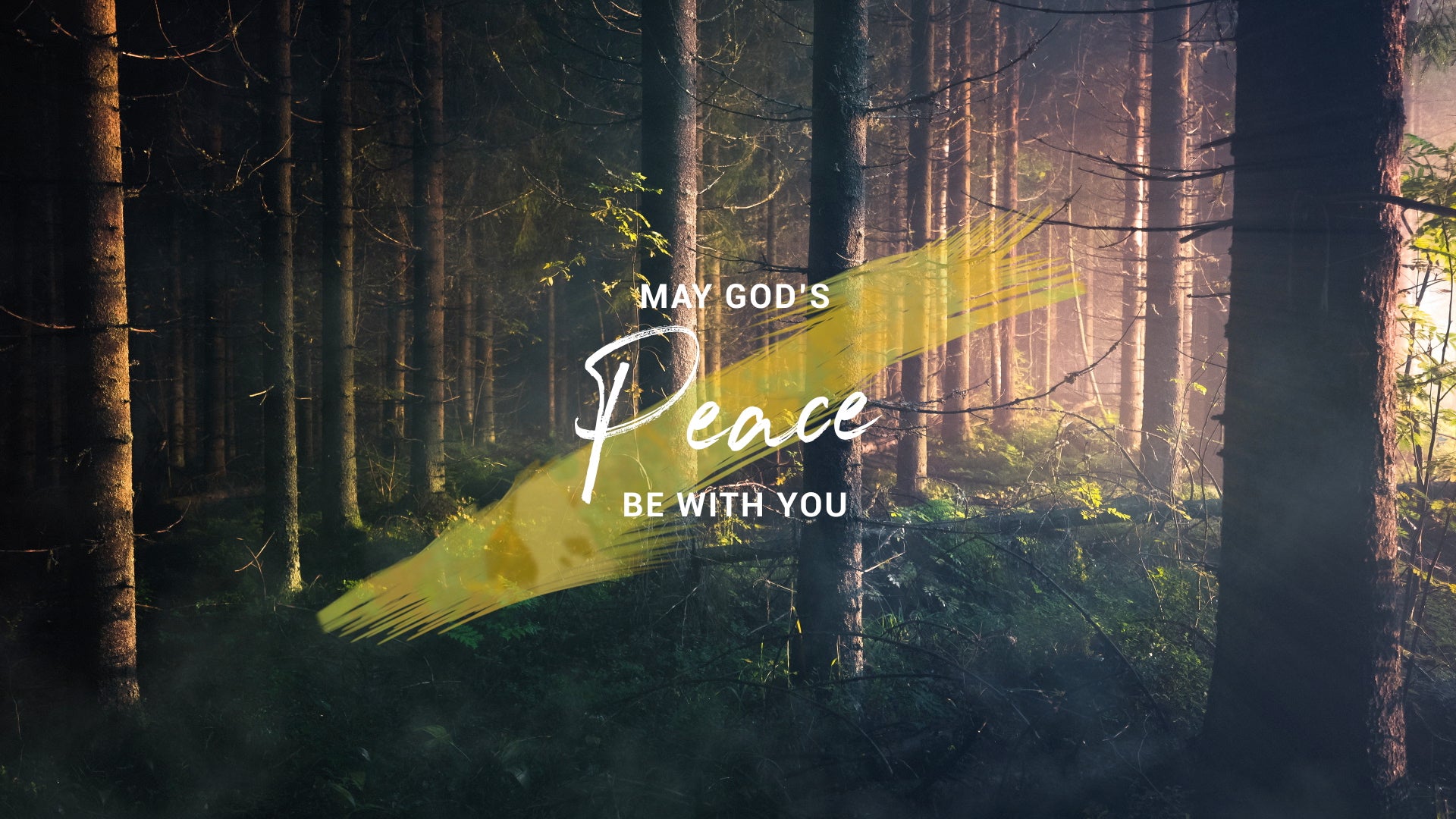 Last Light Exit Motion | Shift Worship