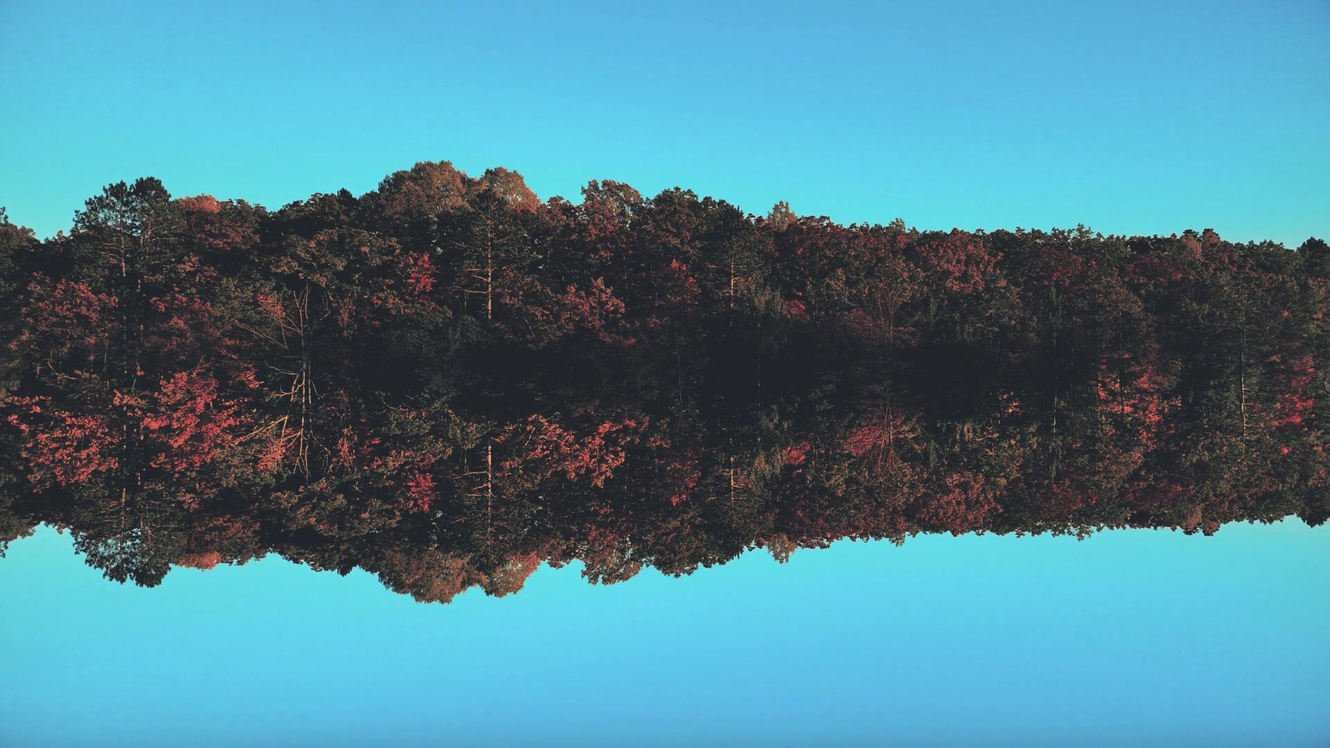 Foliage Remixed 08 | Motion | – Shift Worship