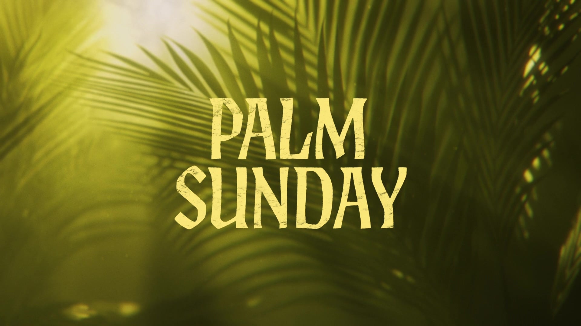 Myk Holy Week Palm Sunday | Still | – Shift Worship