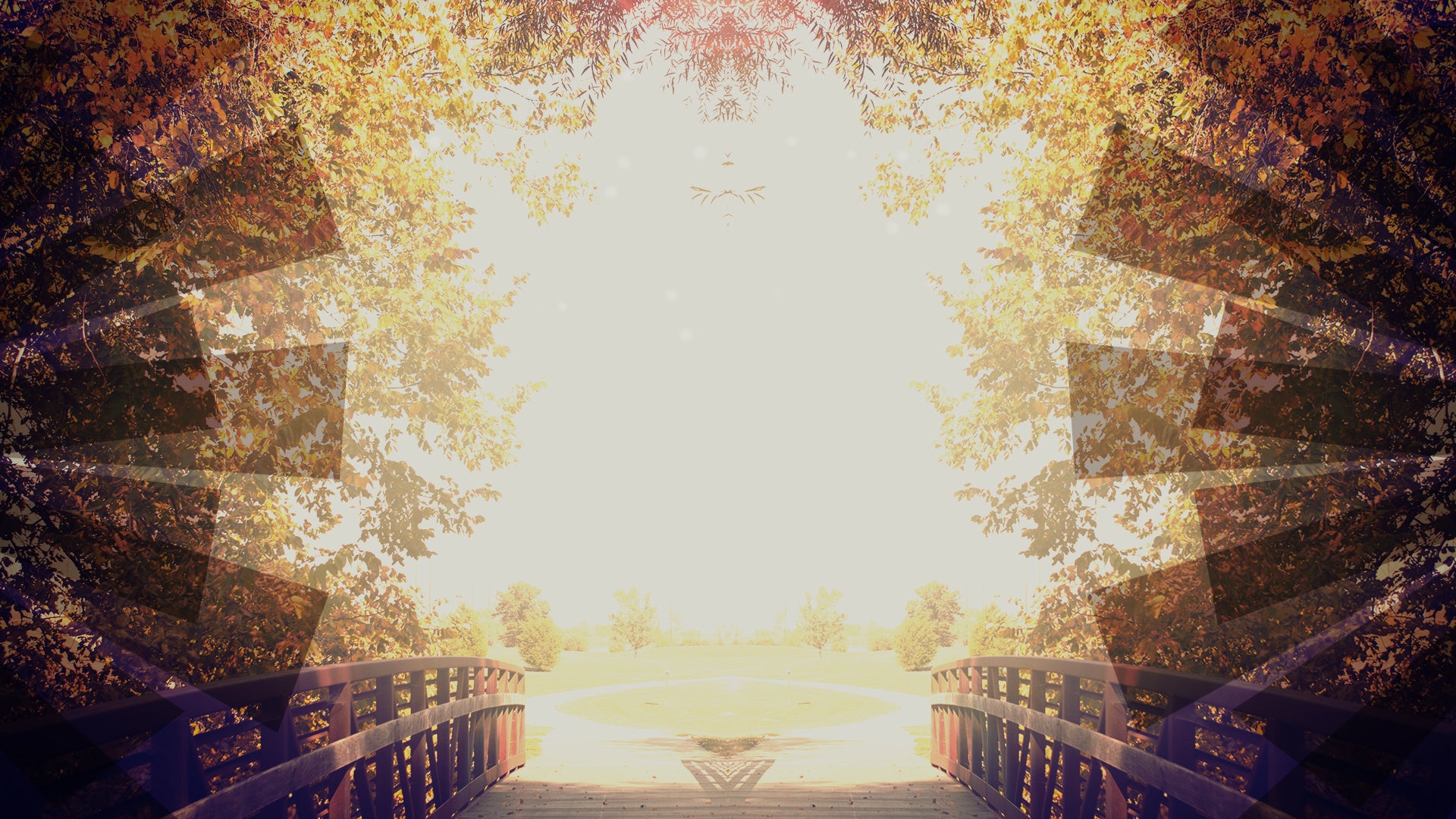 Fall Geometry Flare Motion | Shift Worship