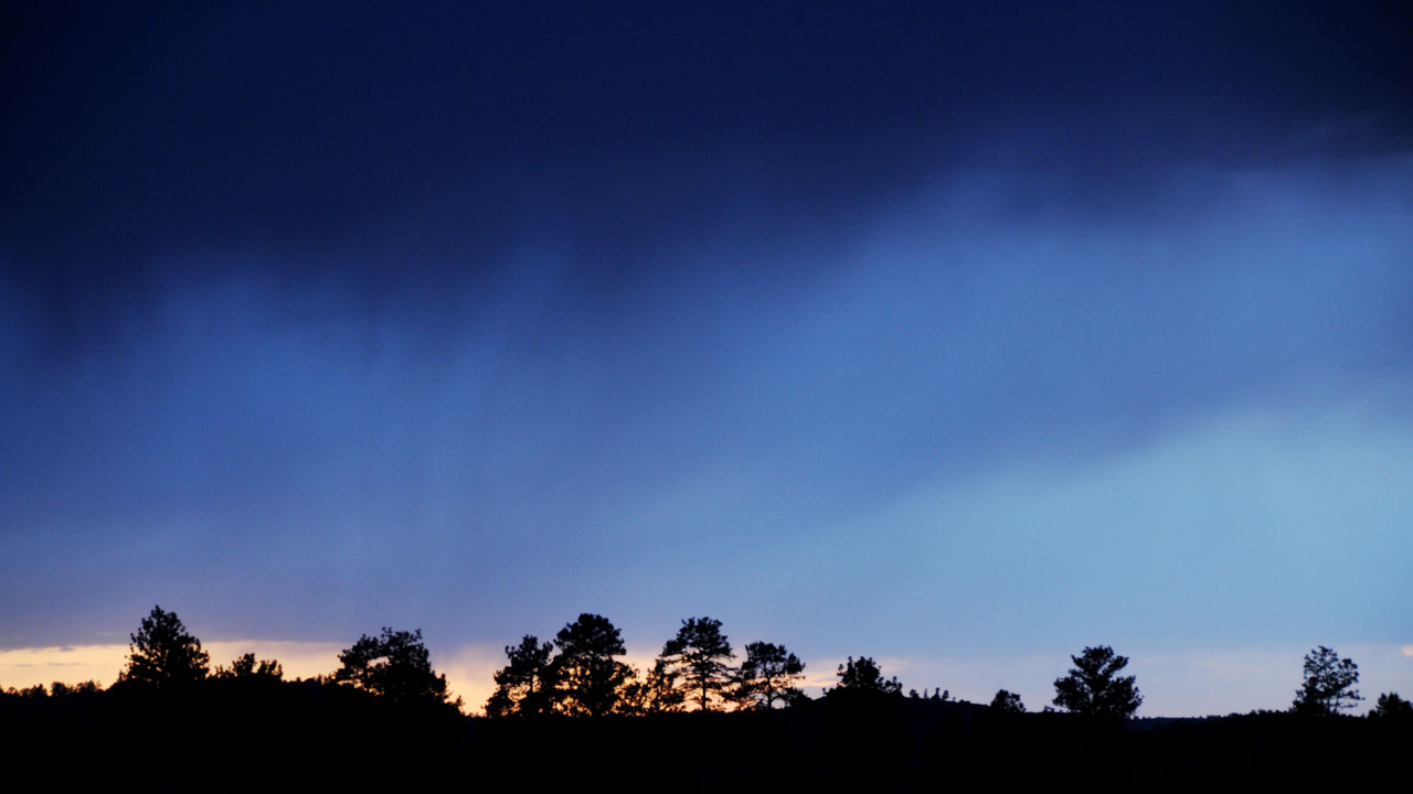Rain Above Trees Still | Shift Worship