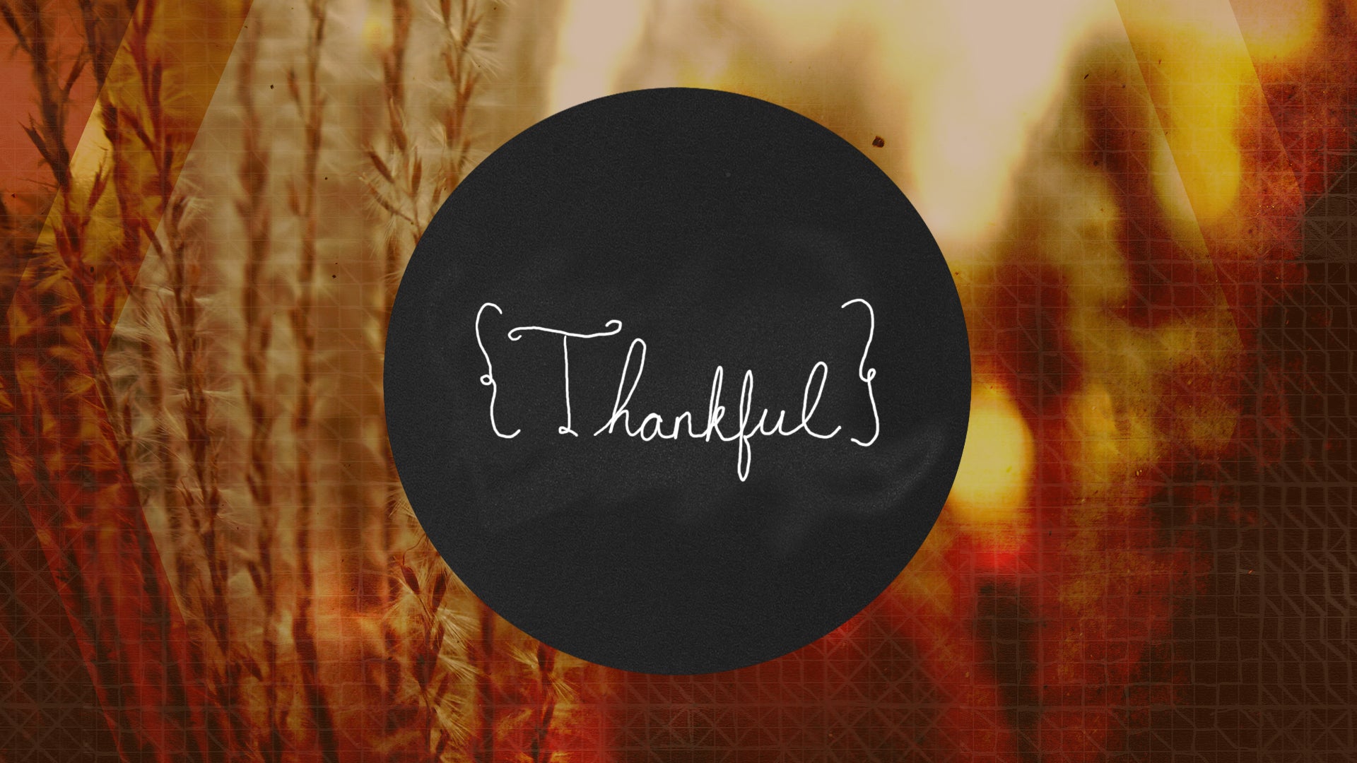 Autumn Grid Thankful Motion | Shift Worship