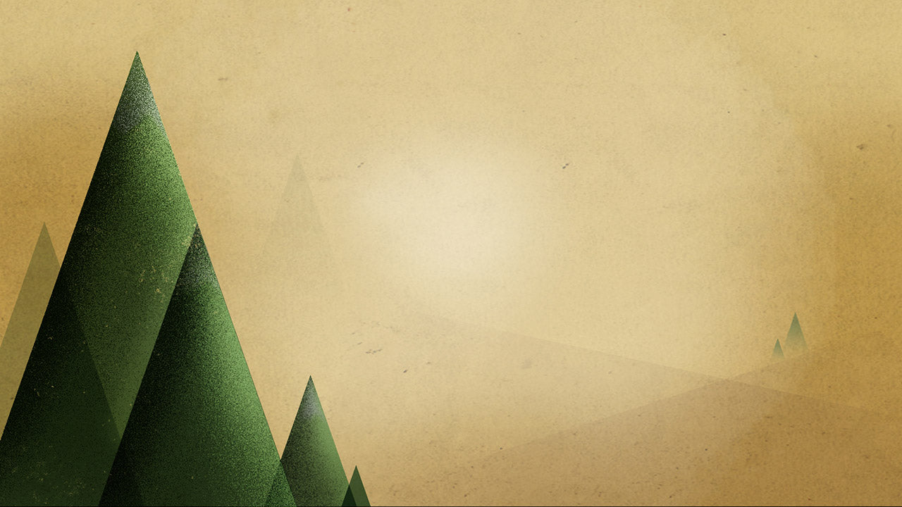 Triangle Tree Collection | Shift Worship