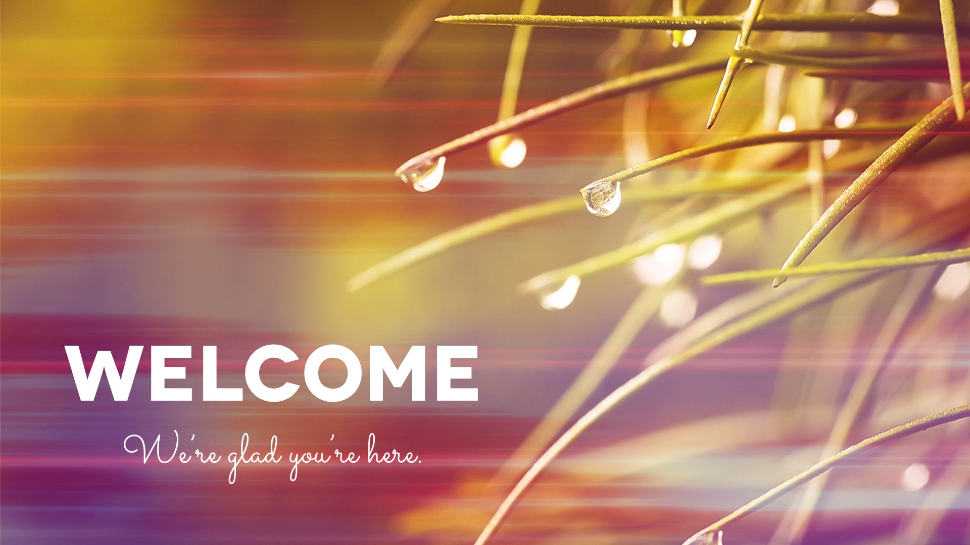Morning Dew Welcome Still | Shift Worship