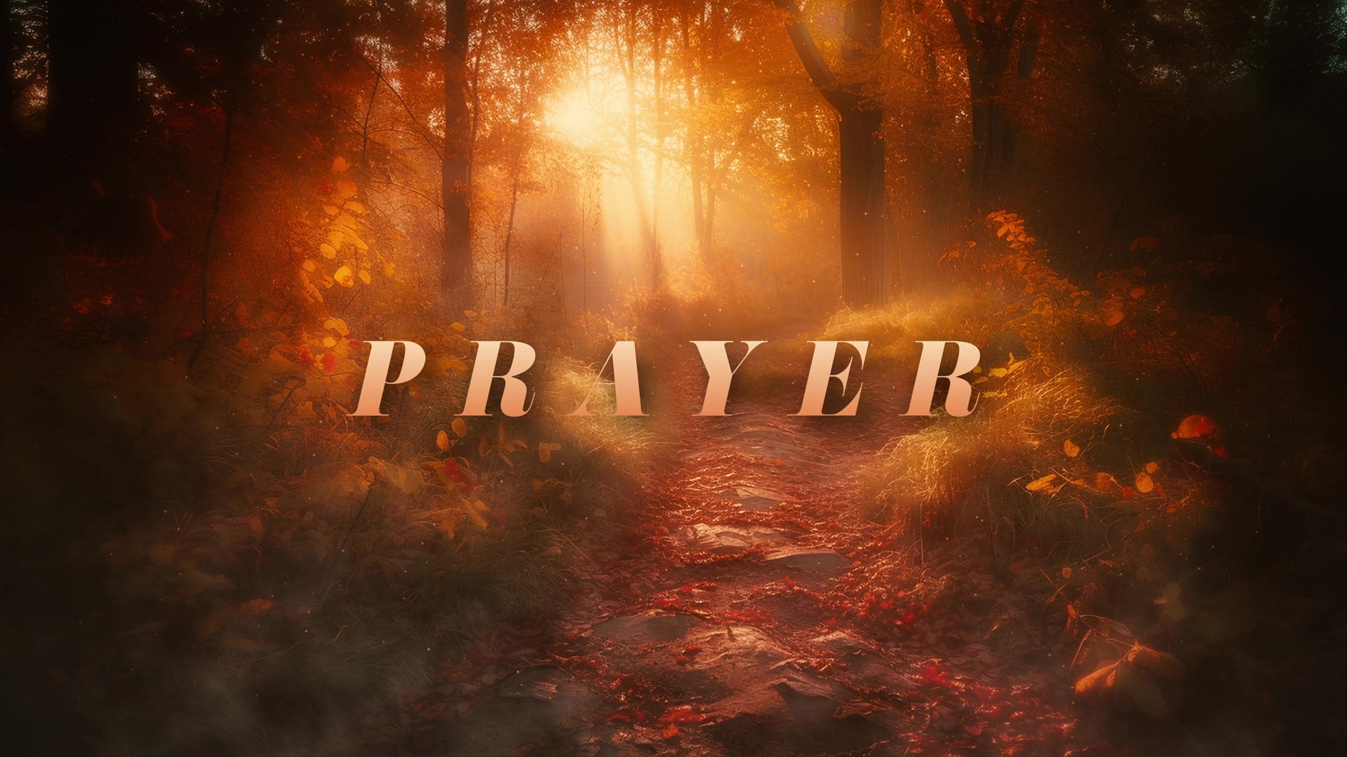 Autumn Path Prayer Still | Shift Worship