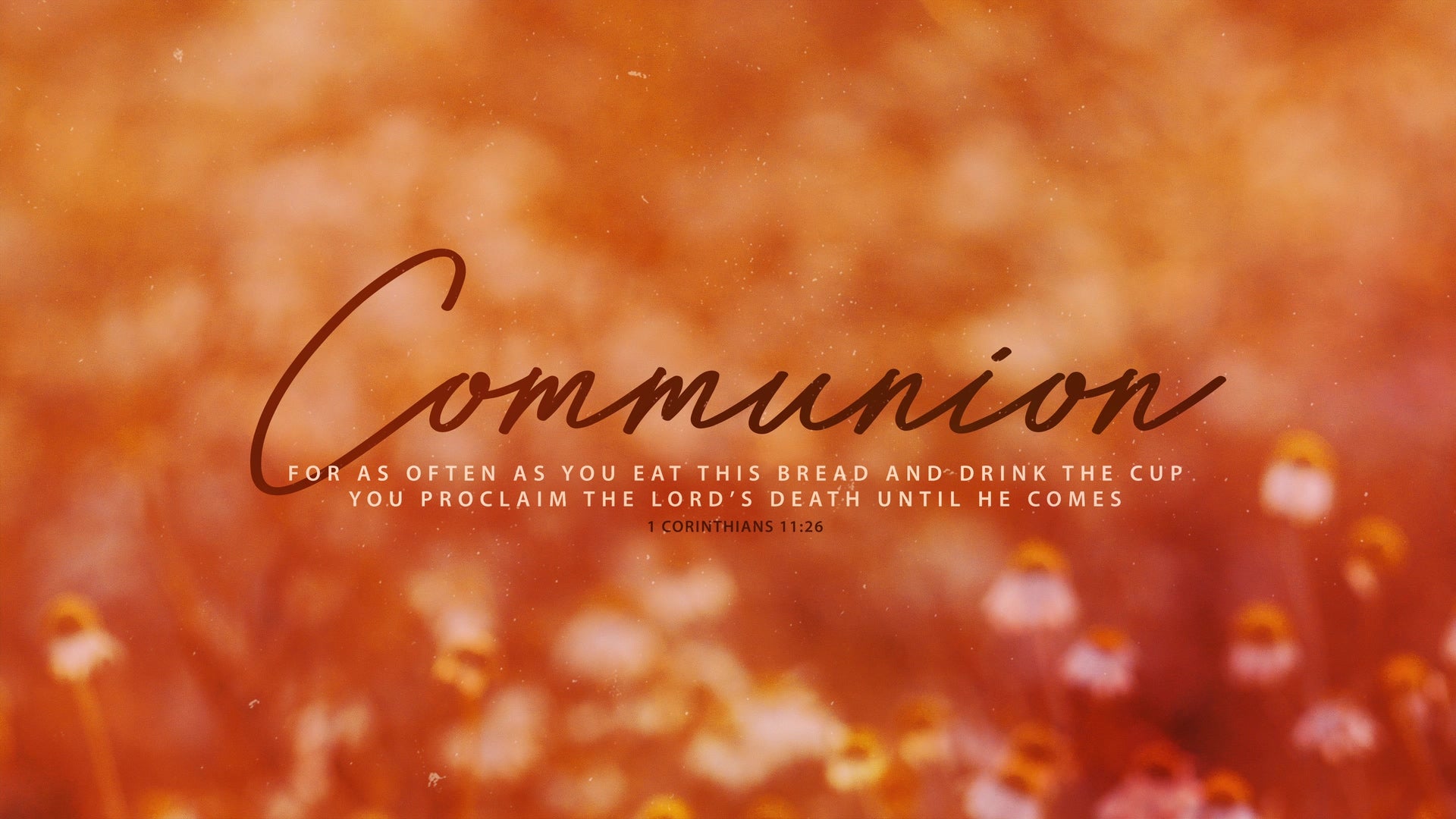 Autumn Blur Communion Motion | Shift Worship