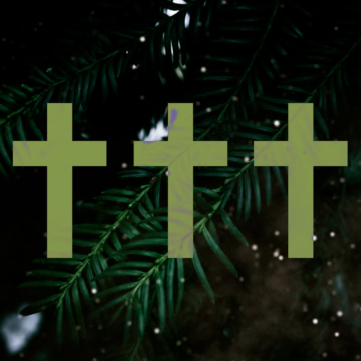 Evergreen Crosses | smg | store – Shift Worship