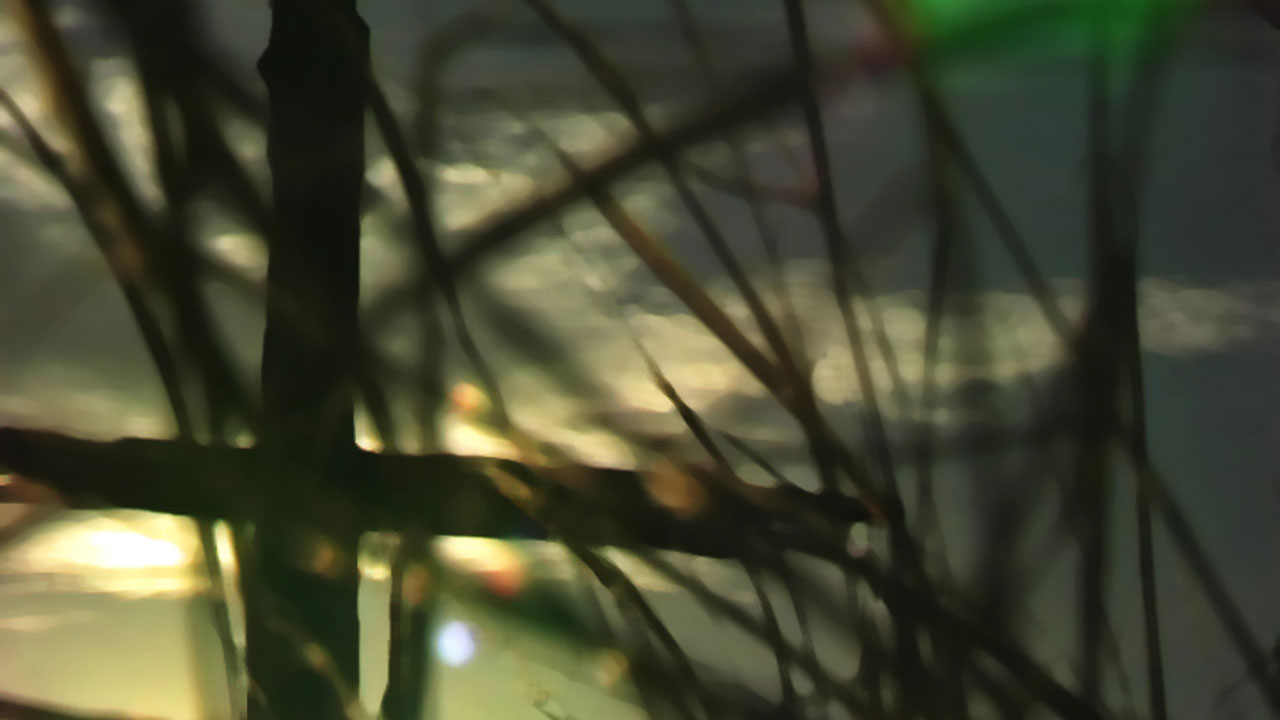 Grass Cross Sun Still | Shift Worship