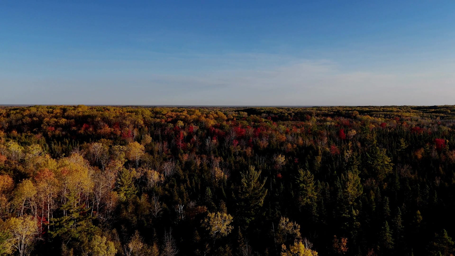 Fall Foliage 02 | Motion | – Shift Worship