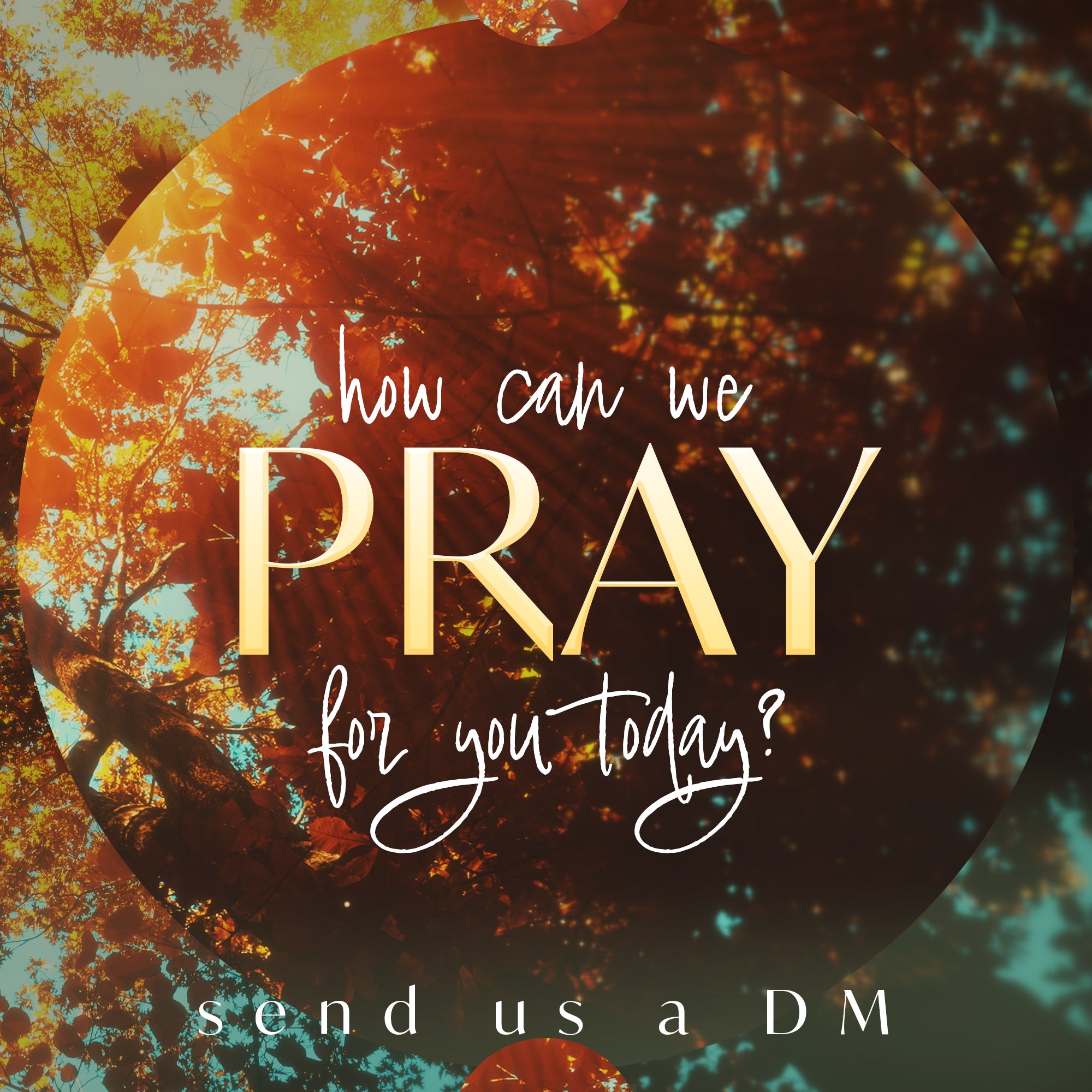 Prayer Autumn Canopy Still | Shift Worship