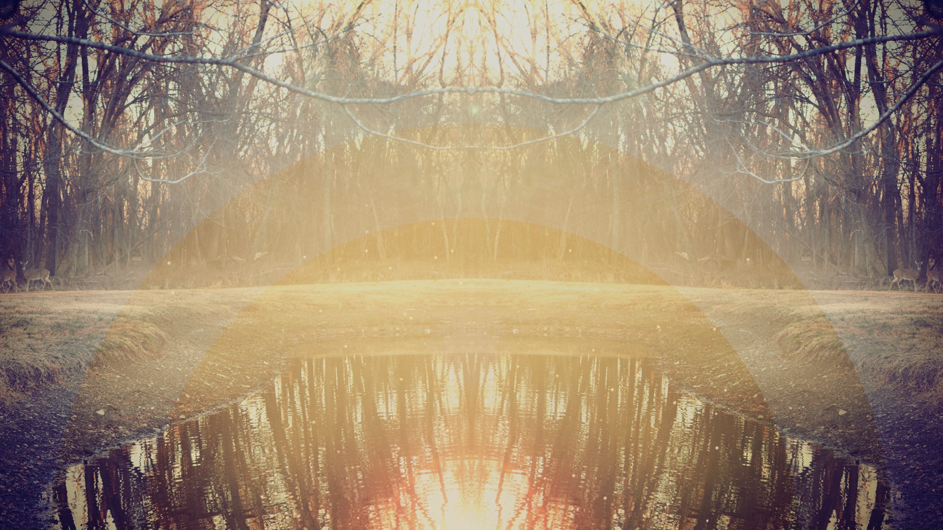 Fall Geometry Pond Still | Shift Worship