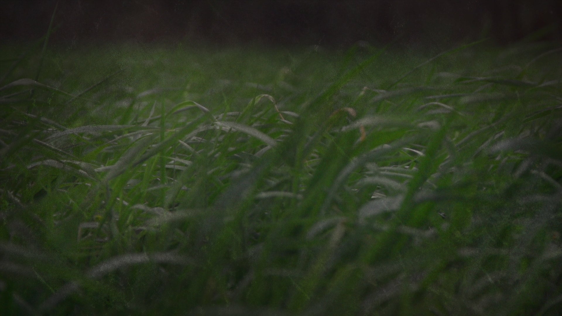 Green Pasture Motion | Shift Worship