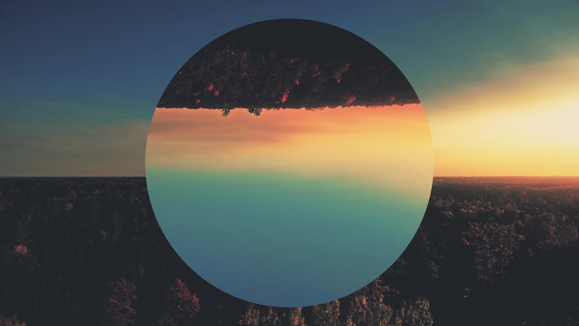 Foliage Remixed 01 | Motion | – Shift Worship