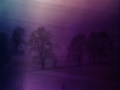 Autumn Mist 7 Motion | Shift Worship
