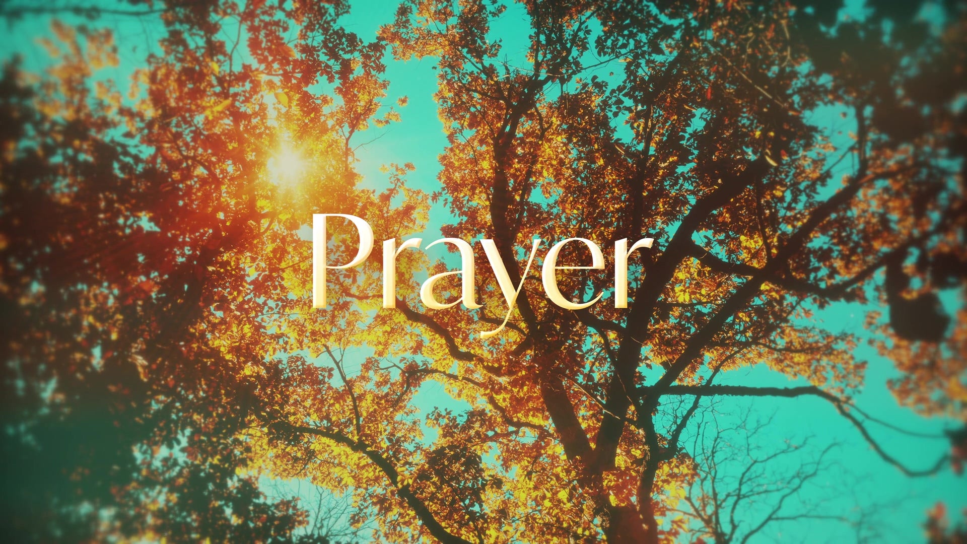 Autumn Canopies Prayer Motion | Shift Worship