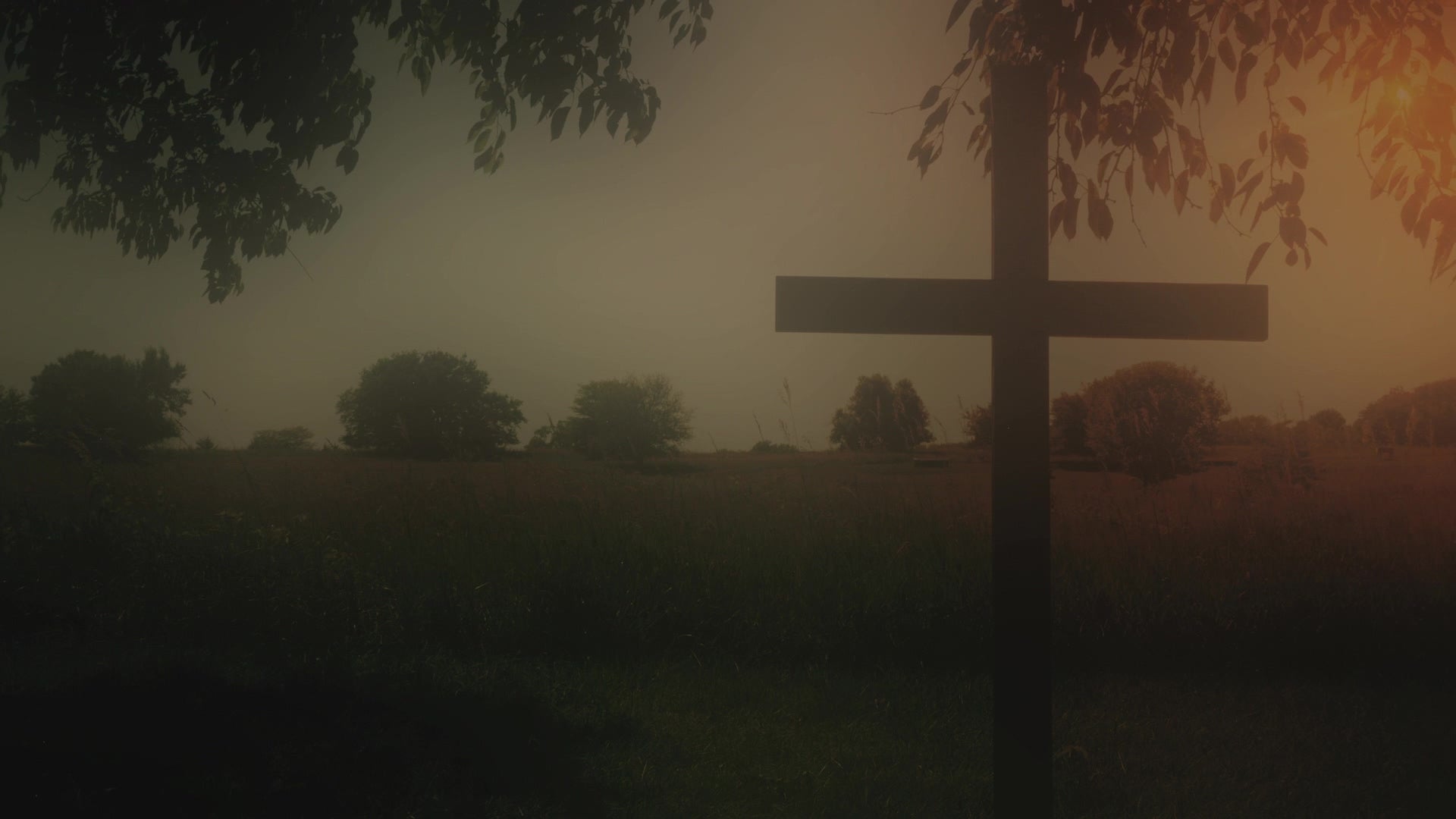 Nature Cross 3 Alt Motion | Shift Worship