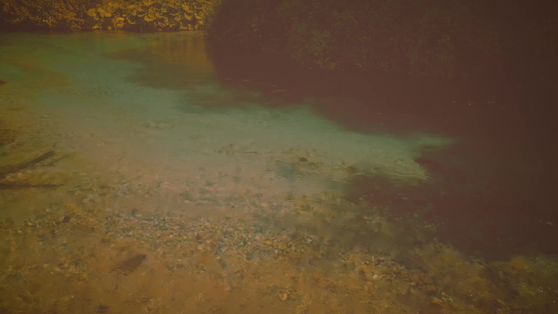 Blue Eye 12 Vintage | Motion | Shift Worship