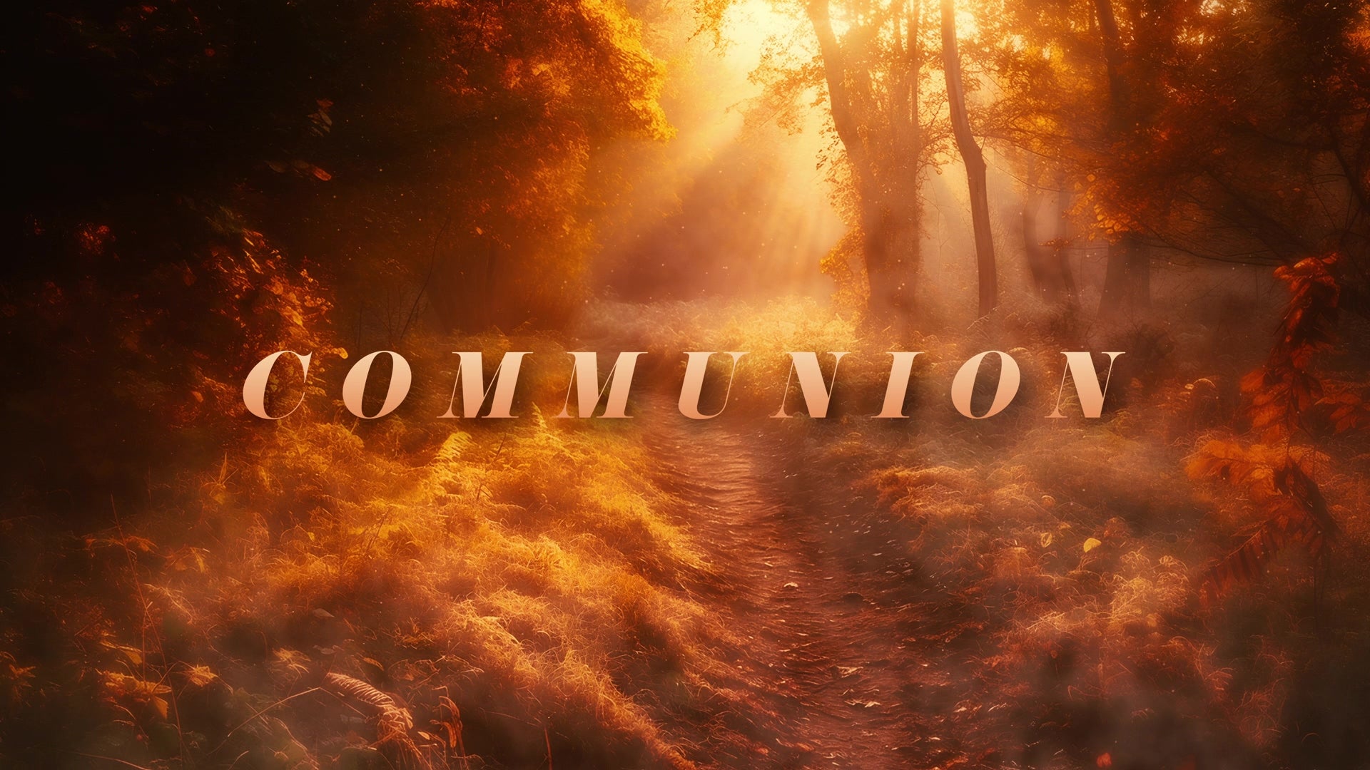 Autumn Path Communion Motion | Shift Worship