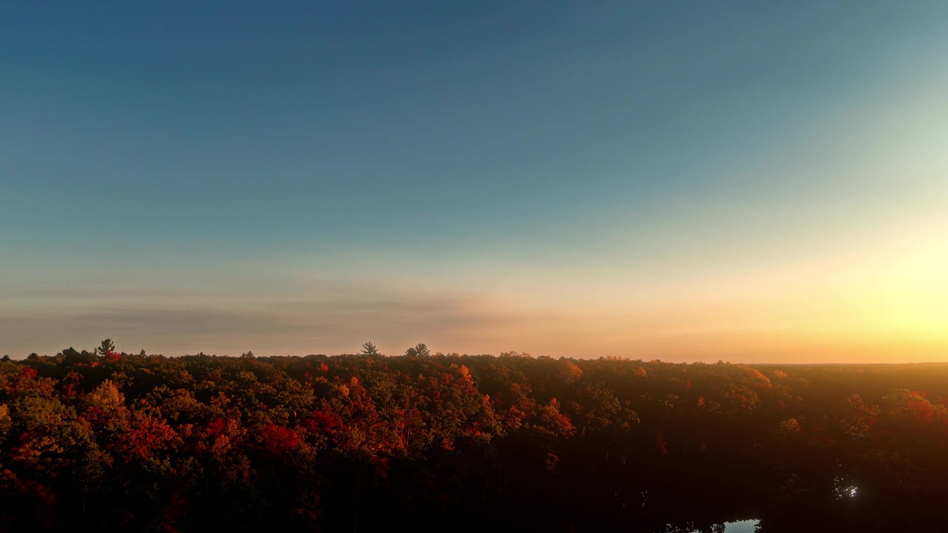 Fall Foliage 03 | Motion | – Shift Worship