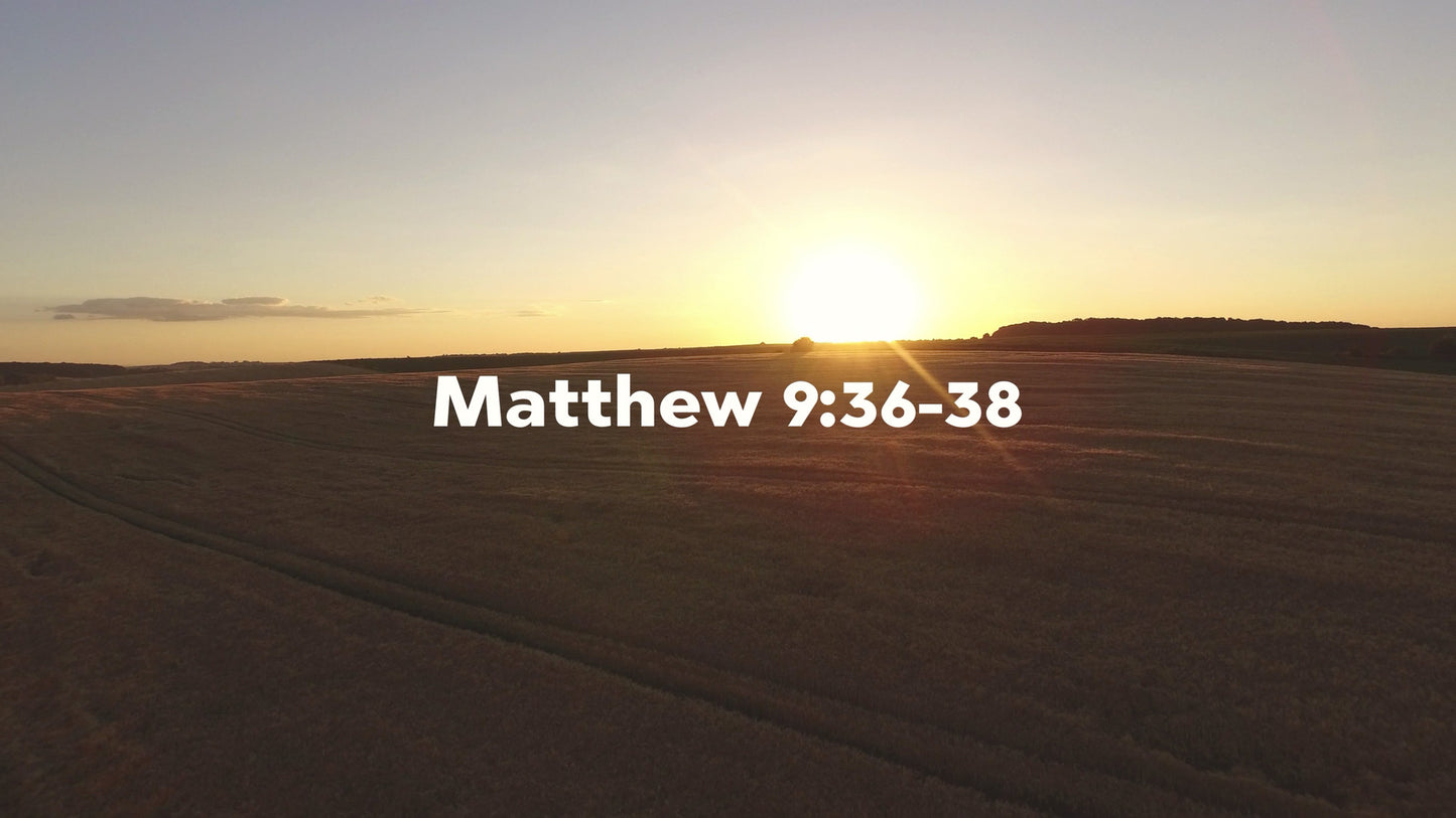 Matthew 9 Mini Movie | Shift Worship