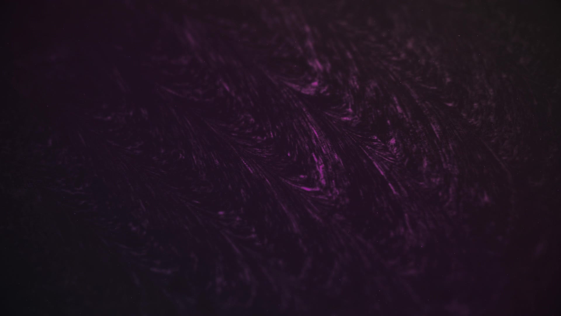 Dark Distortion 1 Motion | Shift Worship