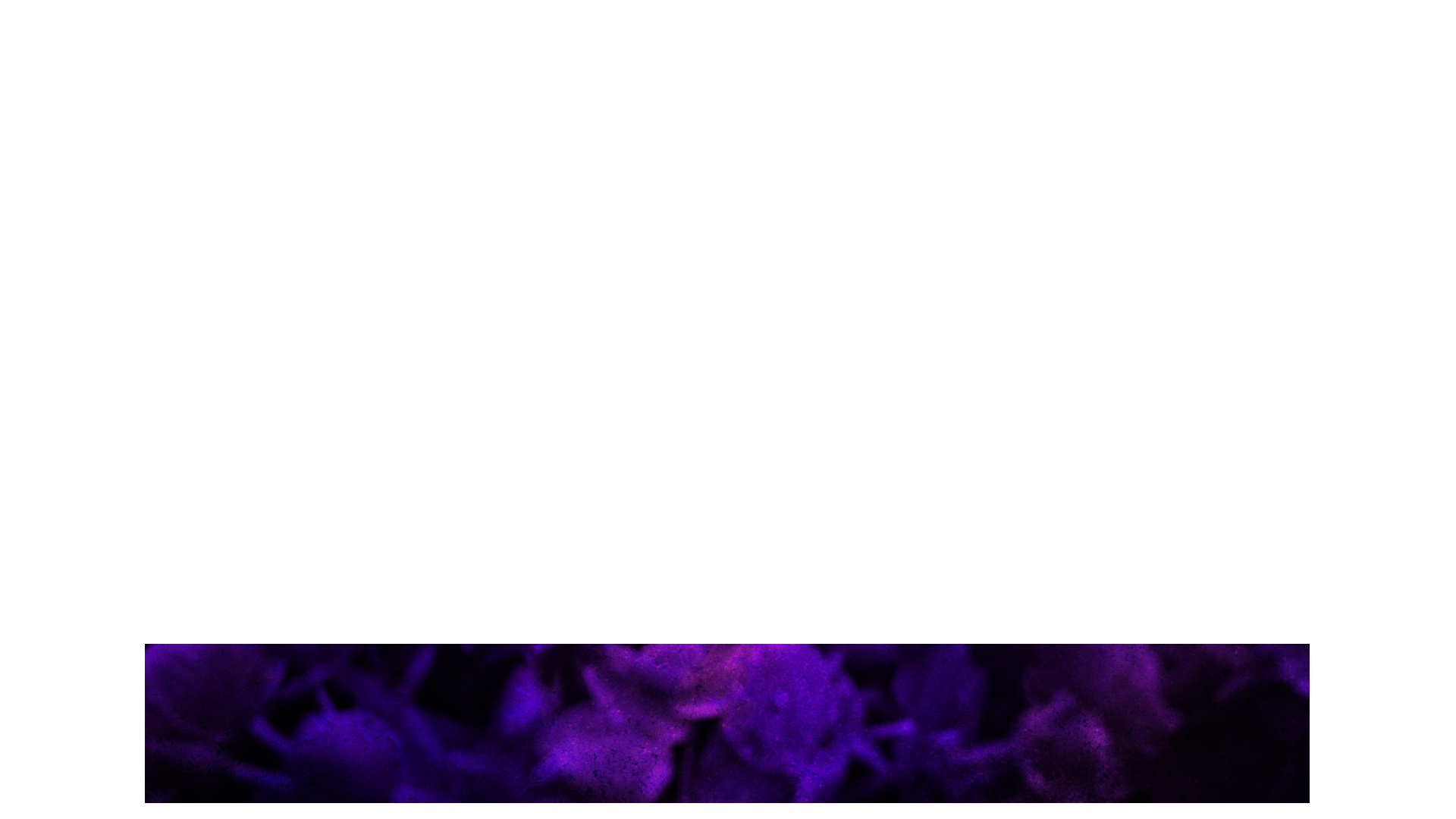 Floral Paint Lower Third Full Blank | Shift Worship