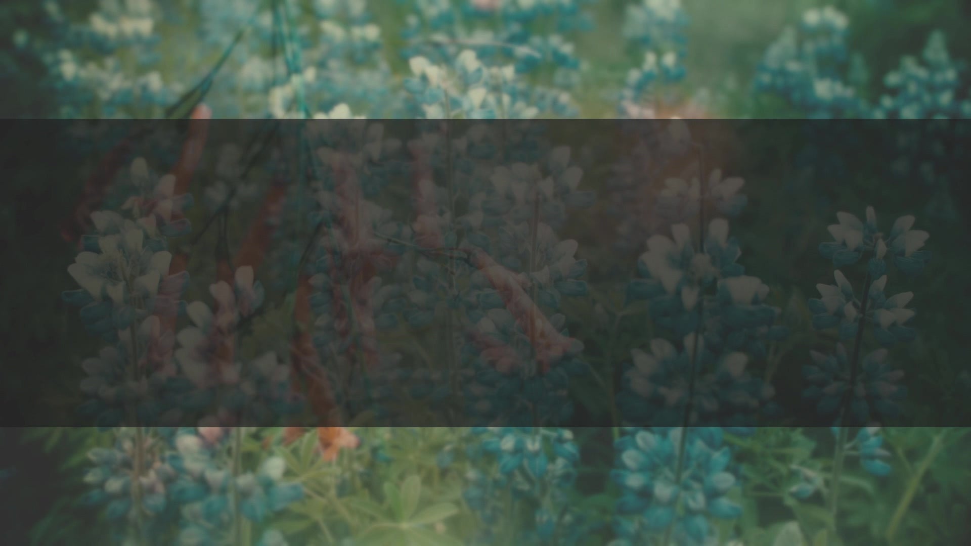 Muted Spring Life Box Motion | Shift Worship