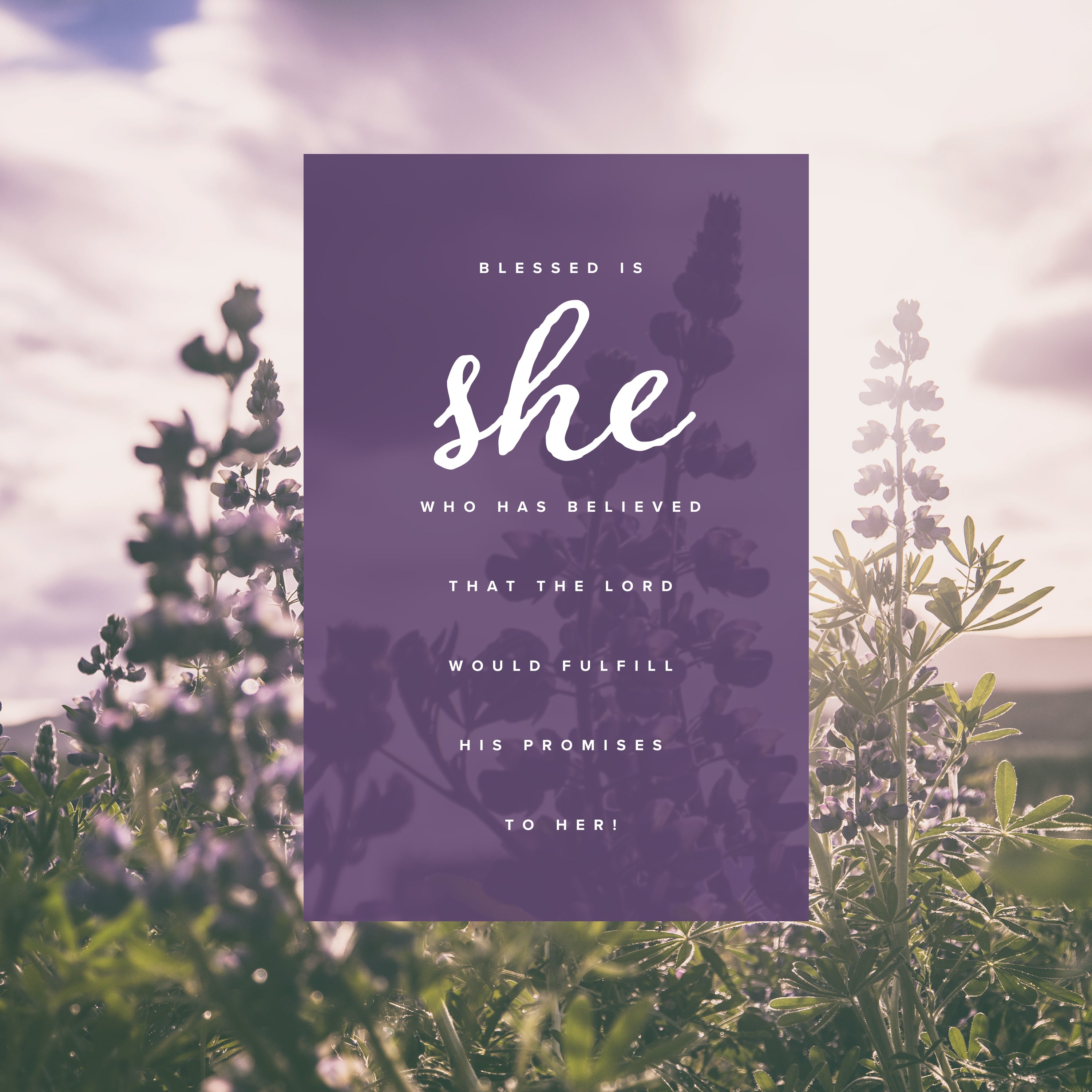 Blessed Is She Still | Shift Worship