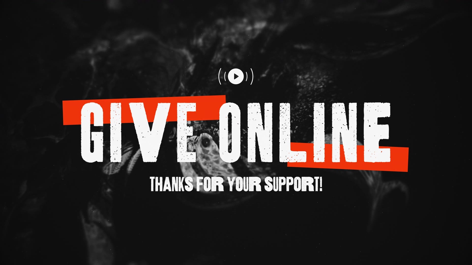 Dark Distortion Give Stream Still | Shift Worship