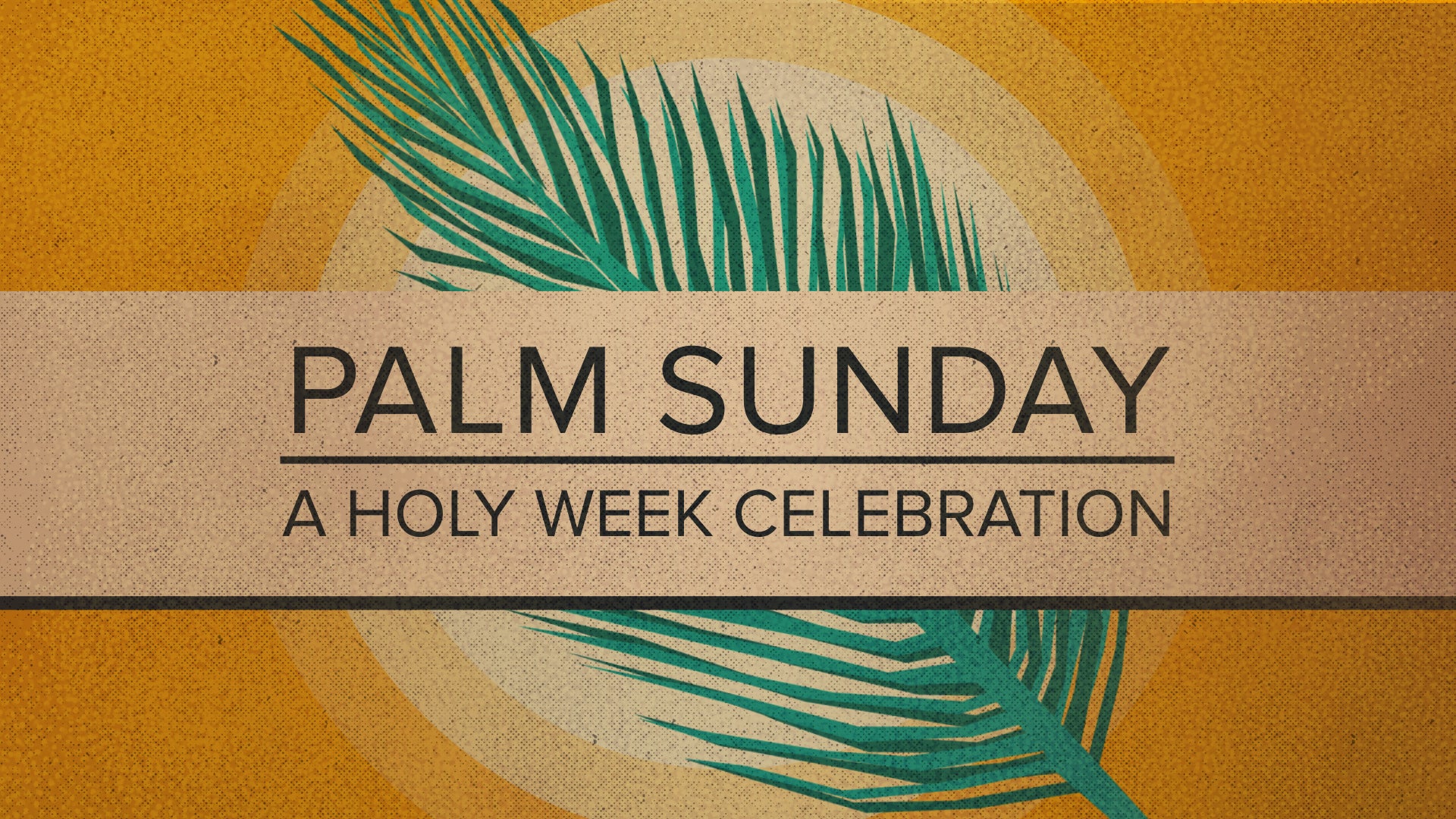 Holy Week Palm Title Motion | Shift Worship
