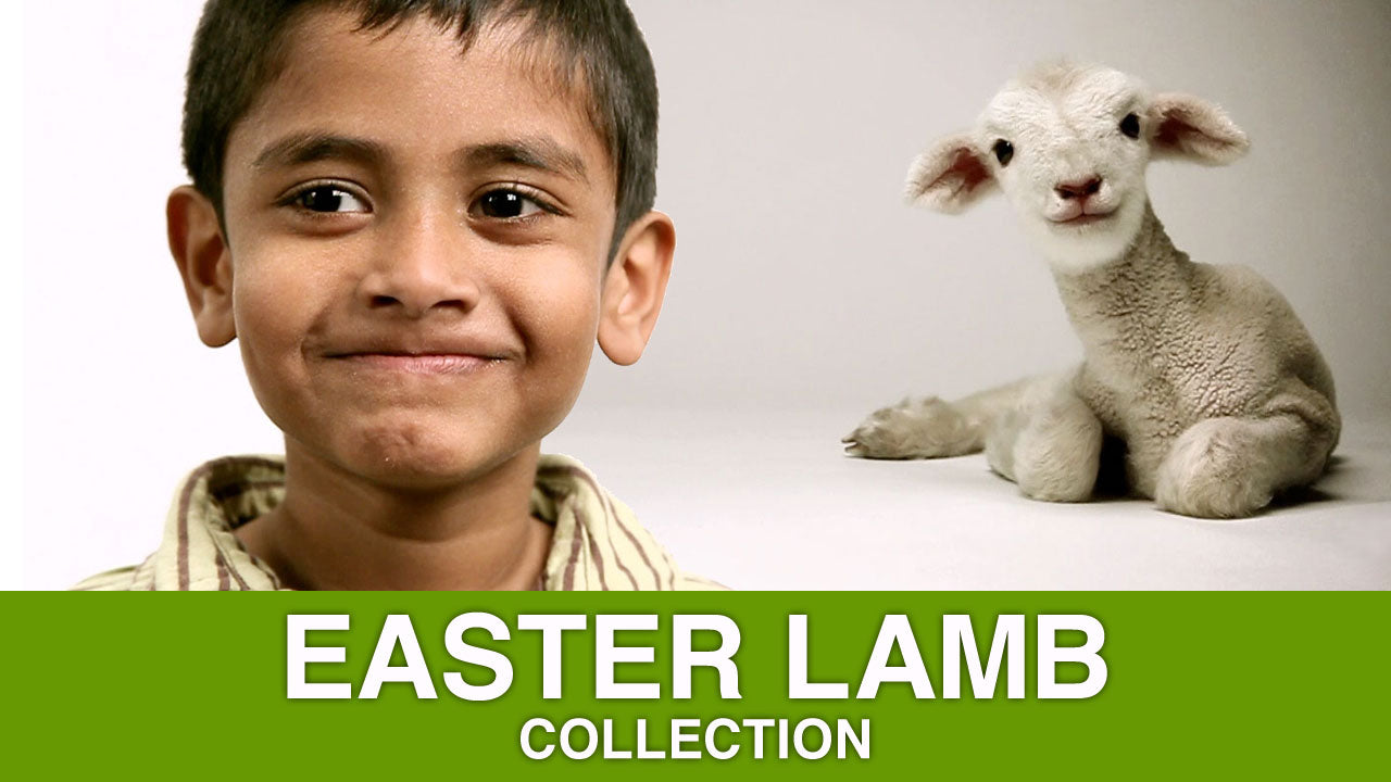 Easter Lamb Collection | Shift Worship