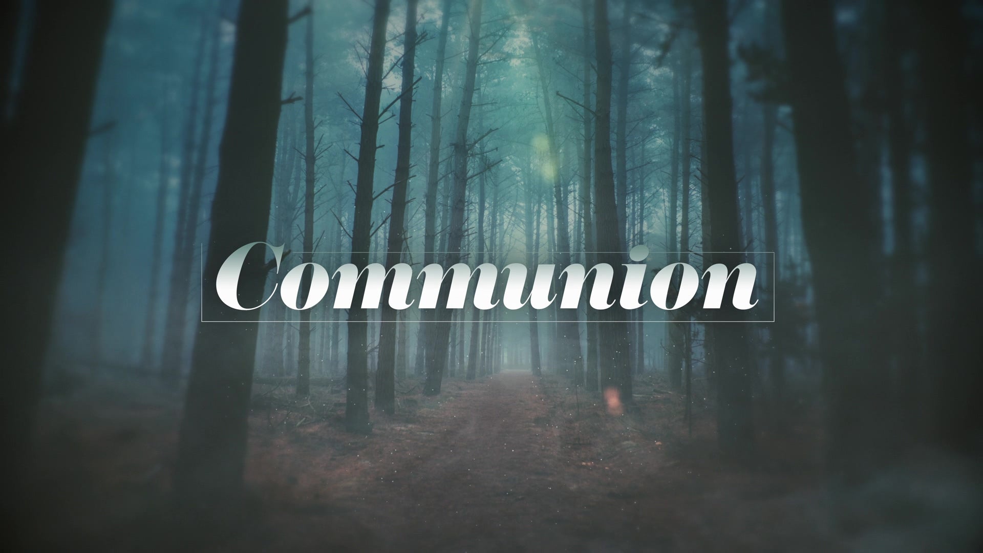 Moody Autumn Communion Still | Shift Worship