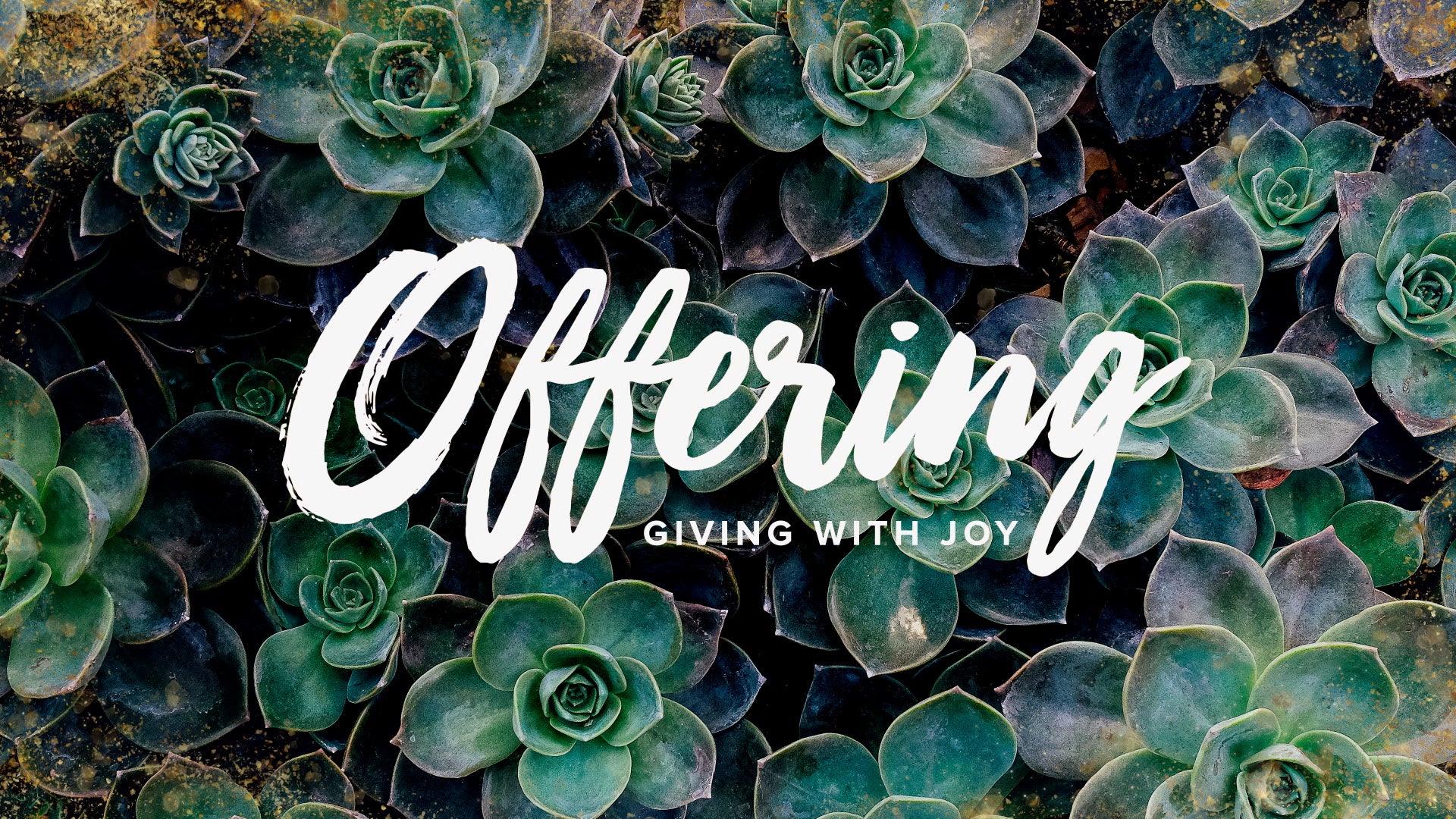 Spring Gold Offering Still | Shift Worship