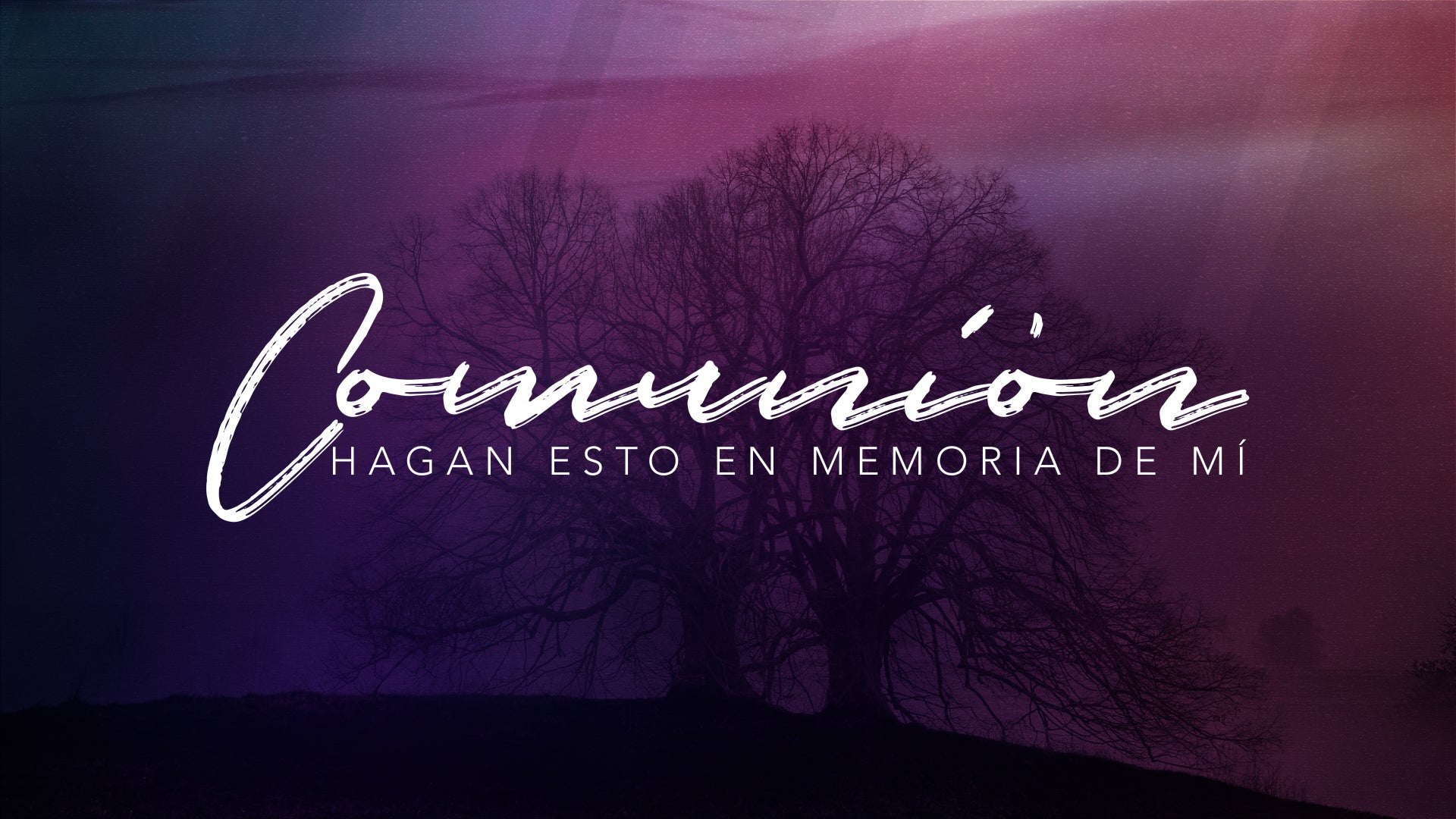 Autumn Mist Communion Still | Shift Worship