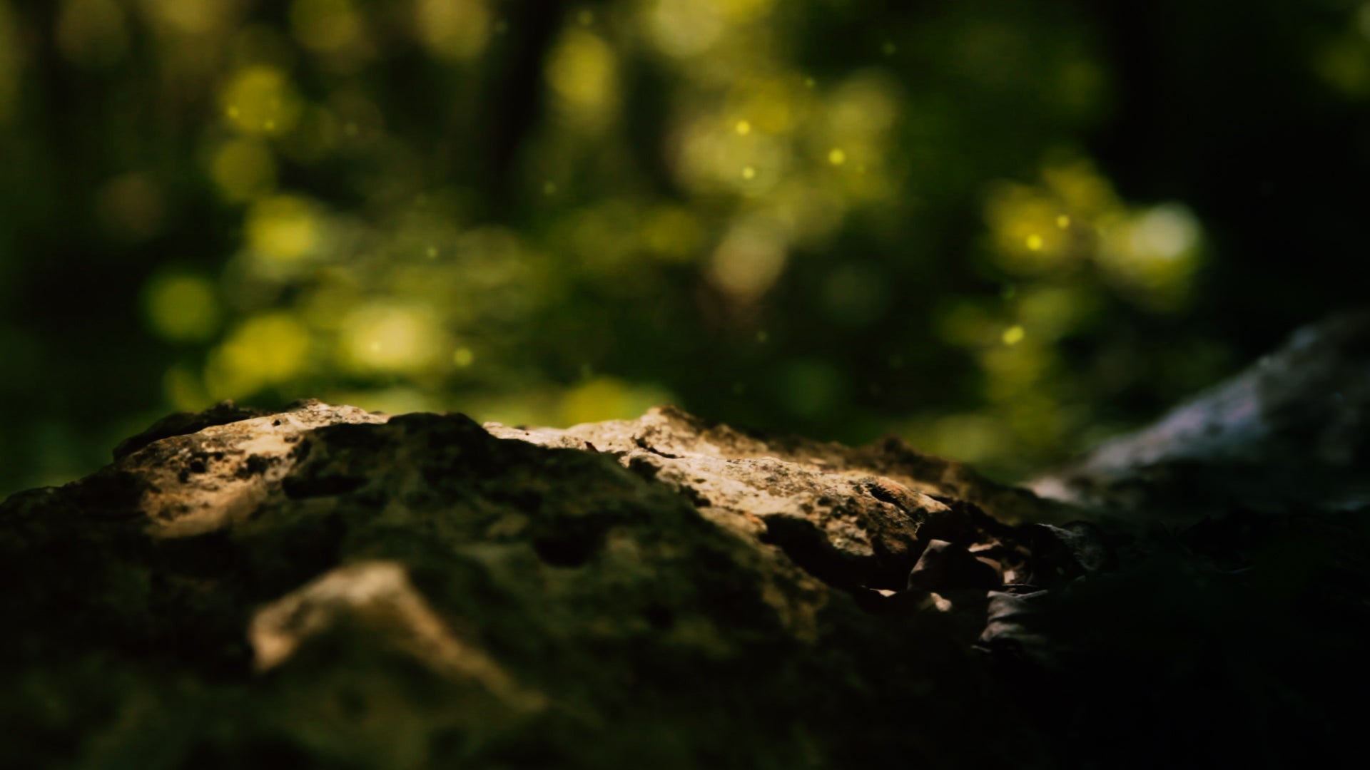 Sun Shade Rock Motion | Shift Worship