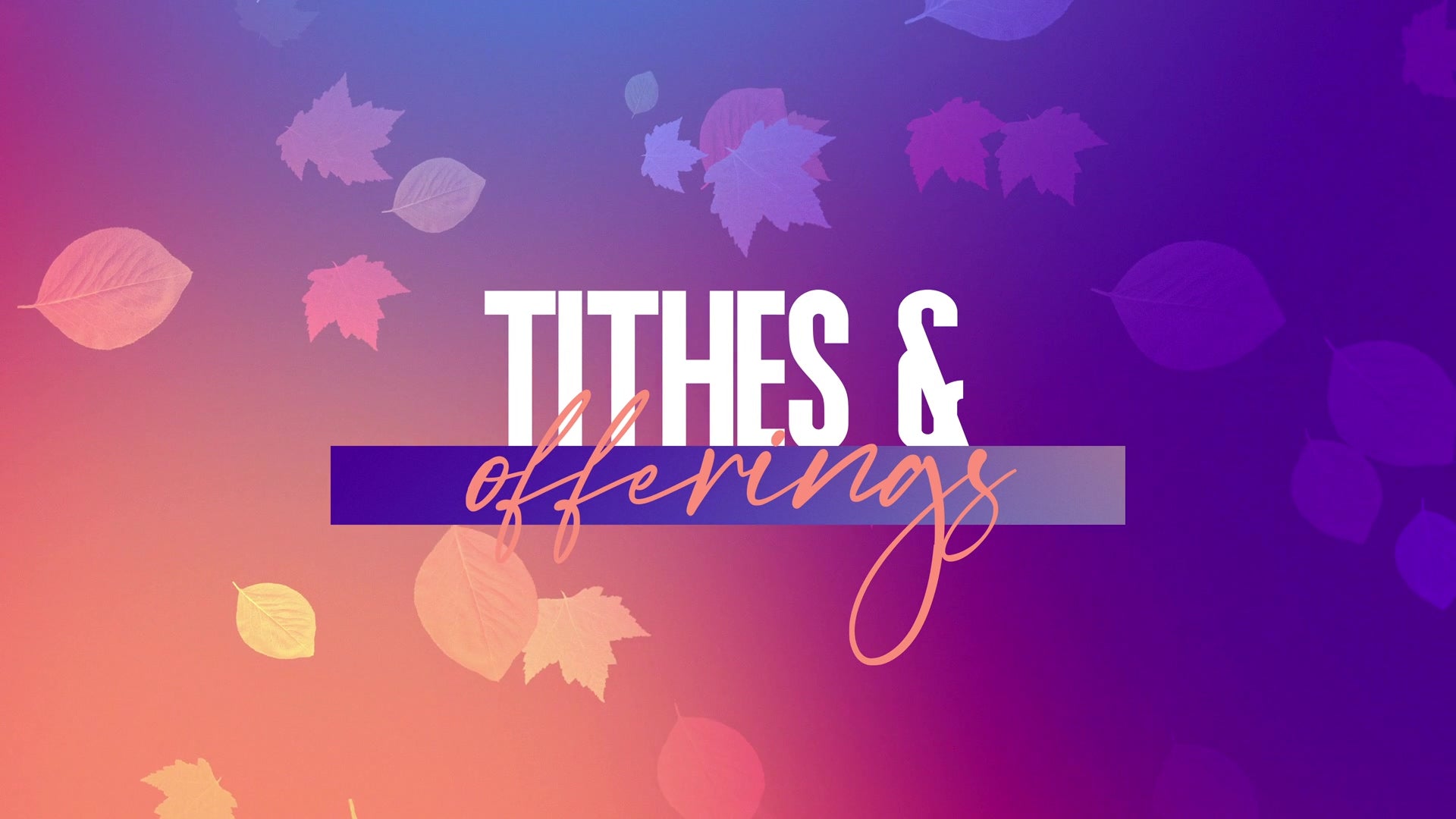Vibrant Fall Tithes And Offerings | Motion | Shift Worship