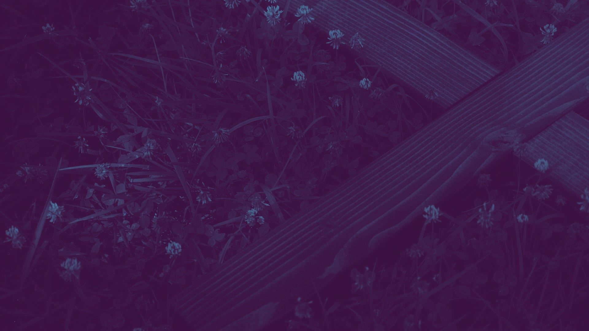 Nature Cross 4 Duotone Motion | Shift Worship