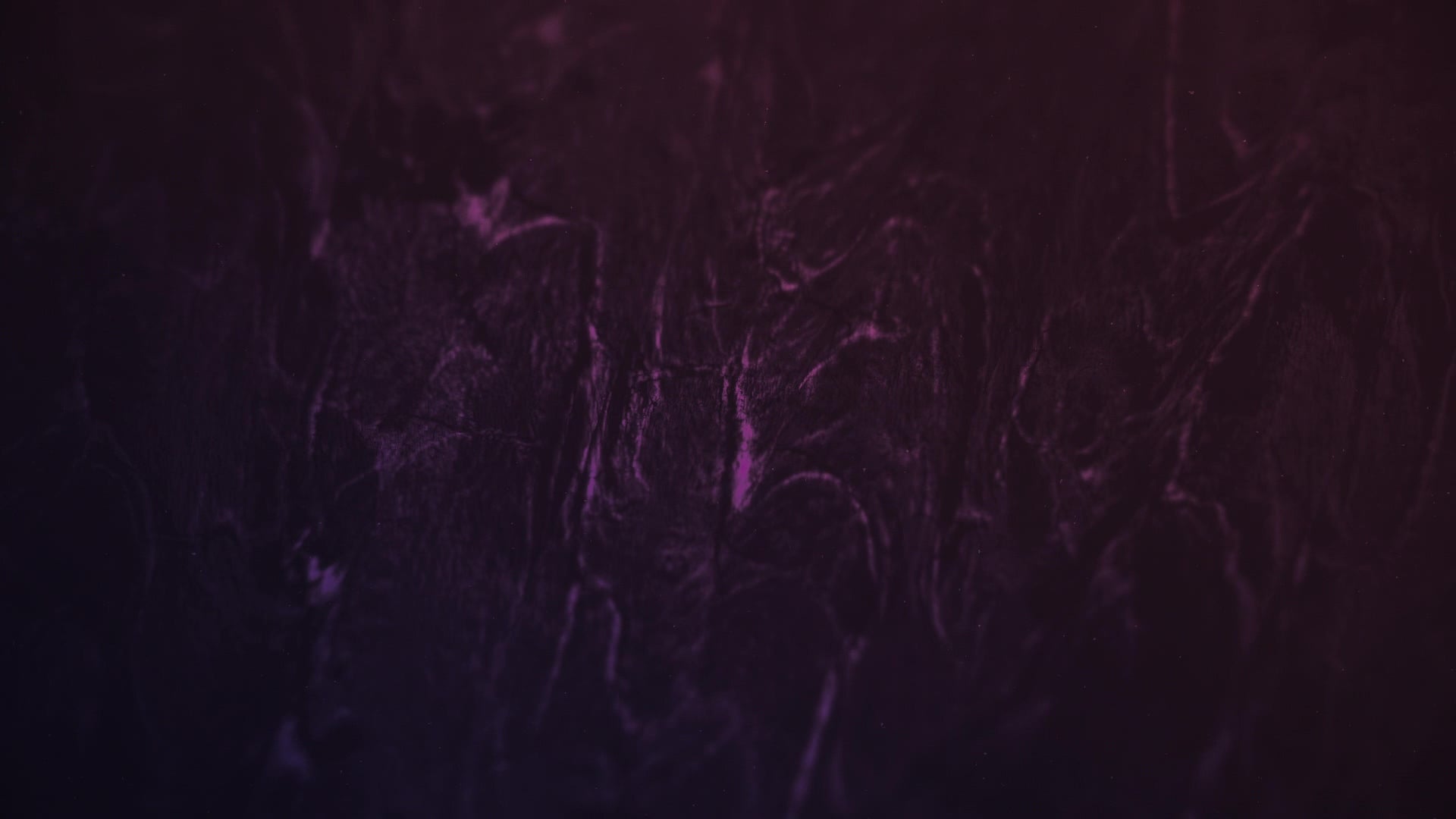 Dark Distortion 7 Color Still | Shift Worship