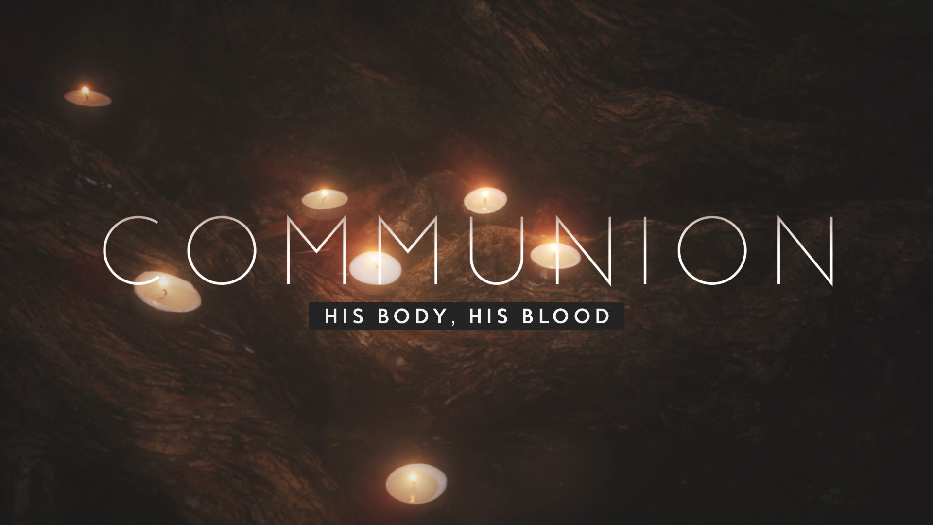 Willow Lights Communion Motion | Shift Worship