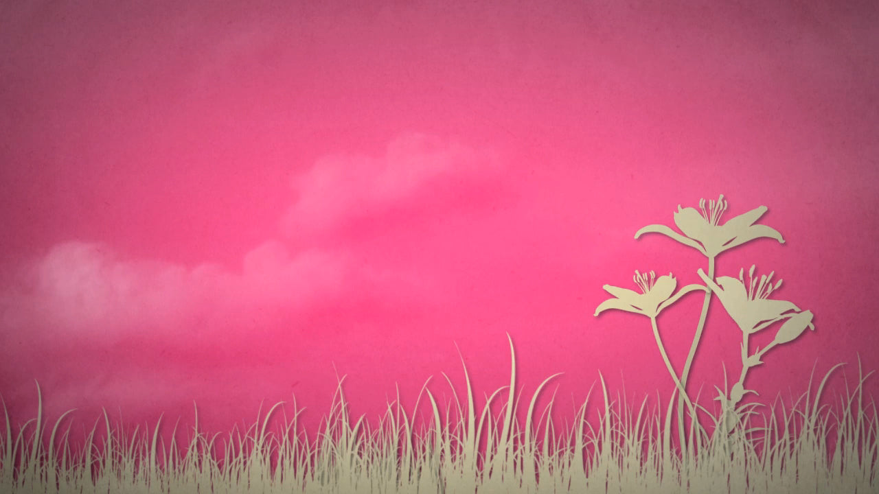 Pink Floral 01 Still | Shift Worship