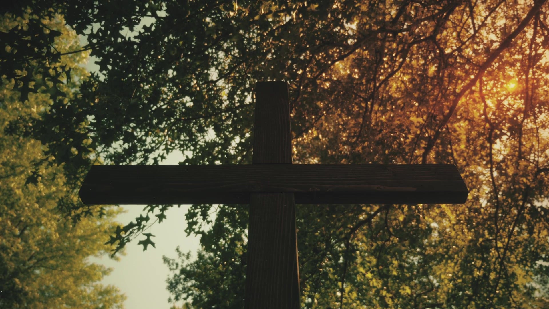 Nature Cross 8 Still | Shift Worship