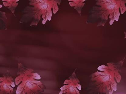 Autumn Glow Motion | Shift Worship