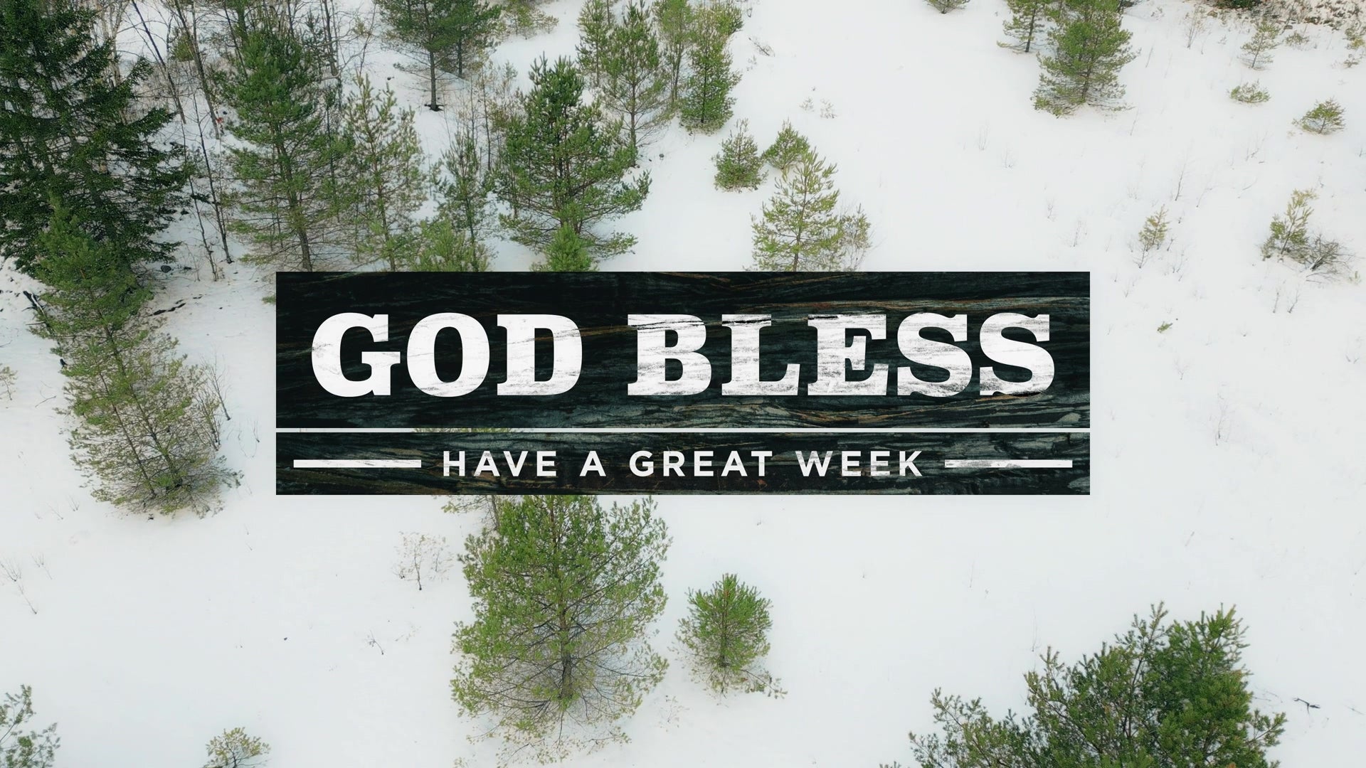 Winter Woods God Bless 01 Motion | Shift Worship