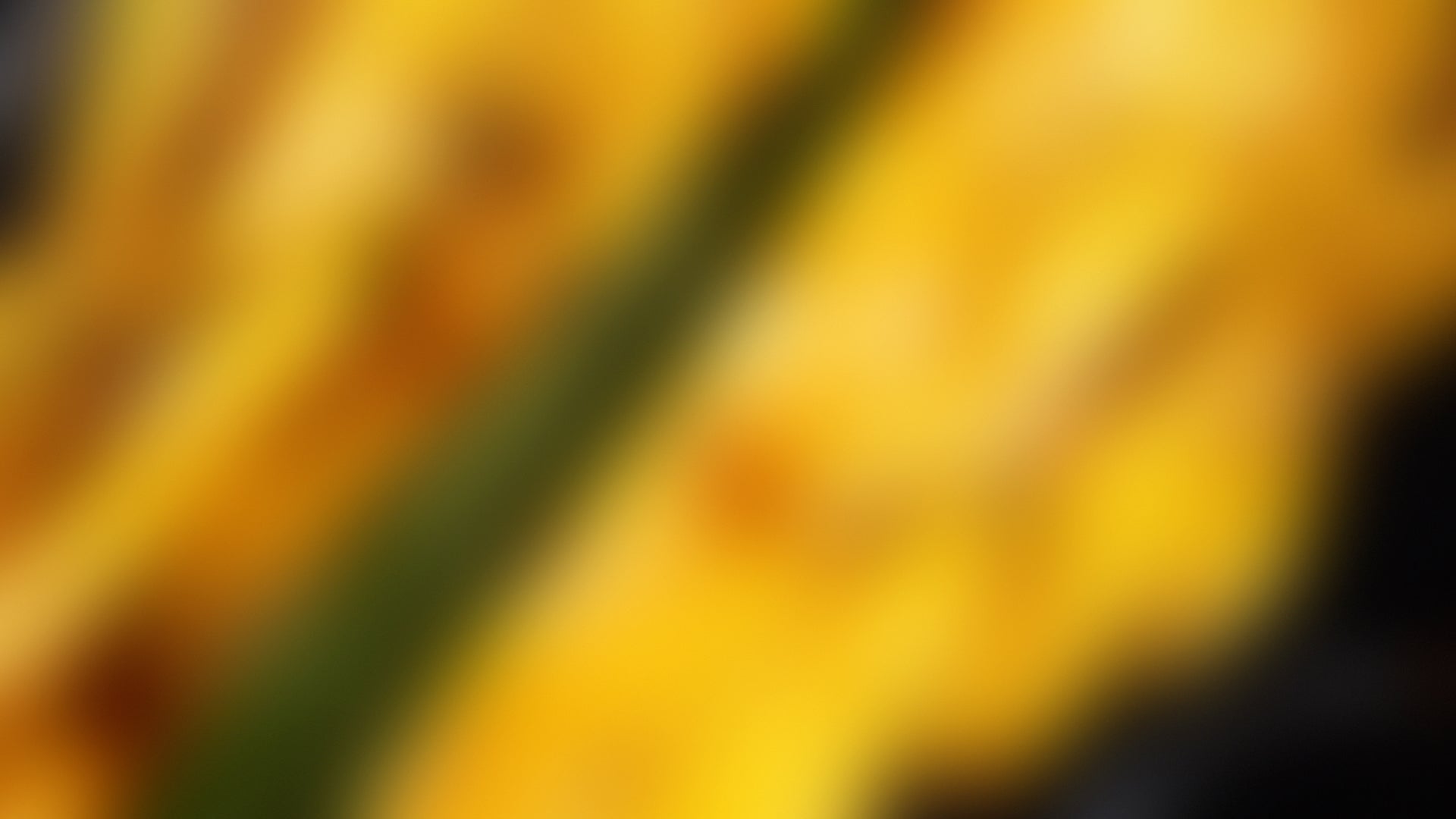 Q1 Announcements Potluck Blur Motion | Shift Worship