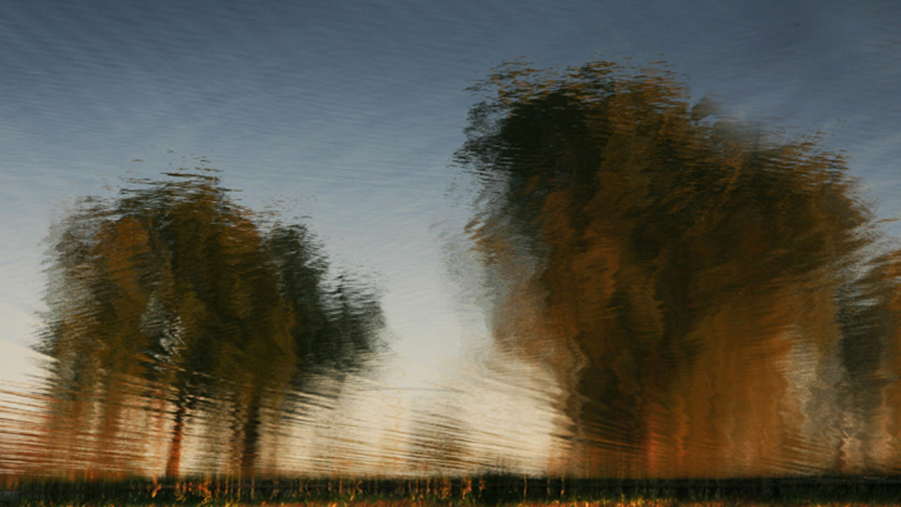 Reflected Trees Still | Shift Worship