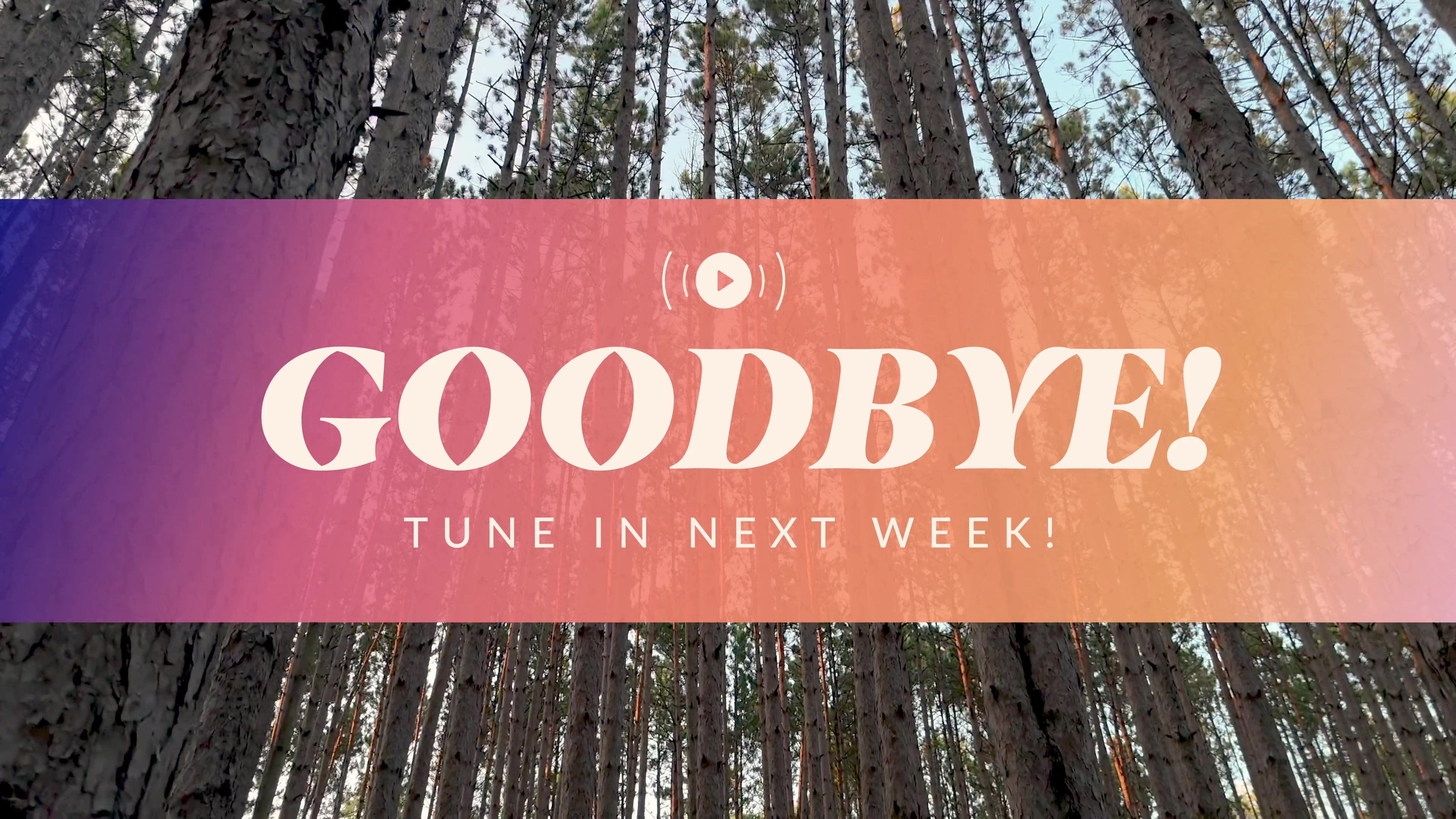 The Forest Exit Stream | Motion | store – Shift Worship