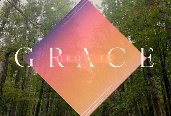 The Forest Titles PSD | Editable Social Media Graphic | Shift Worship