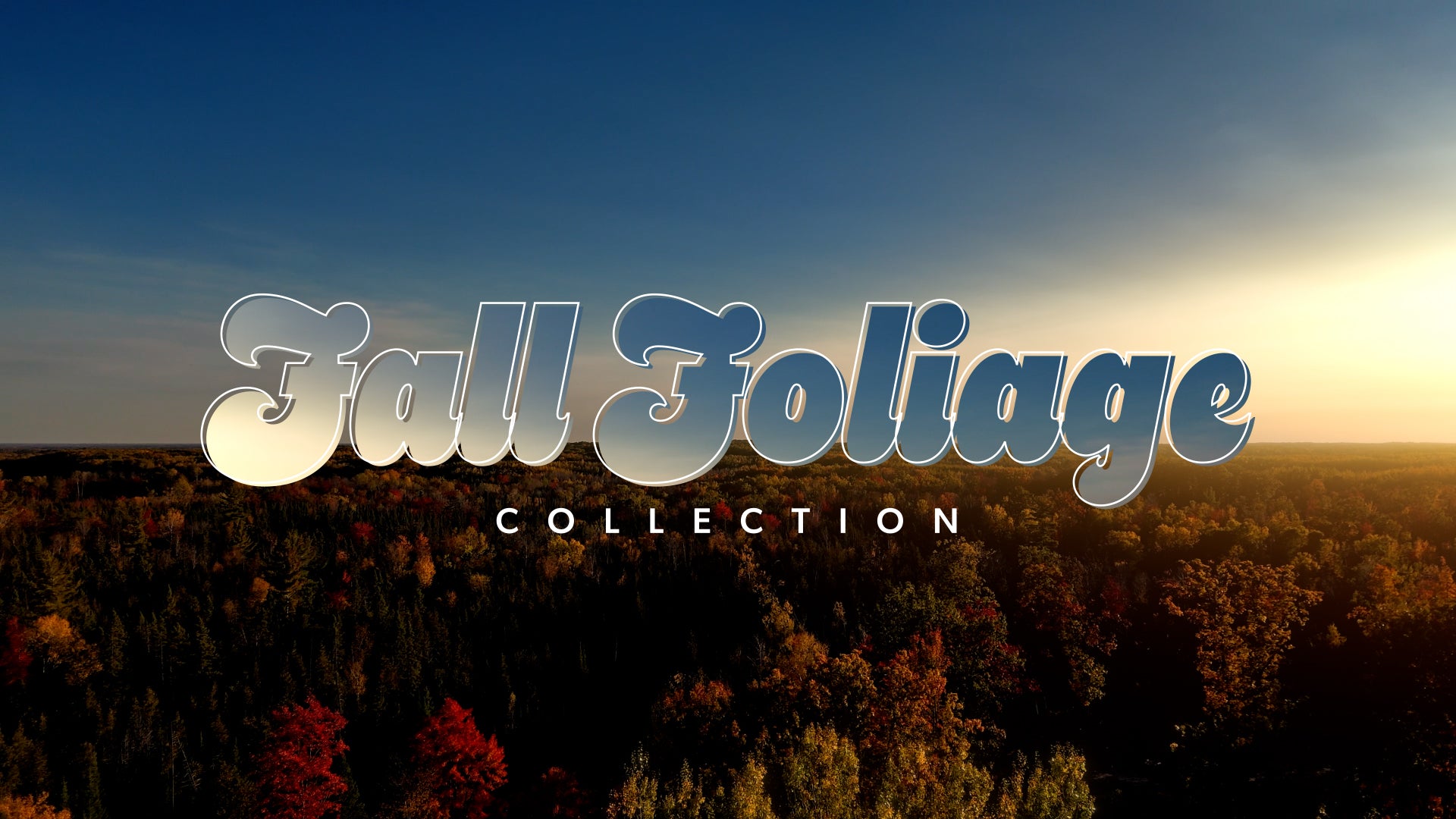Fall Foliage | Collections | store – Shift Worship